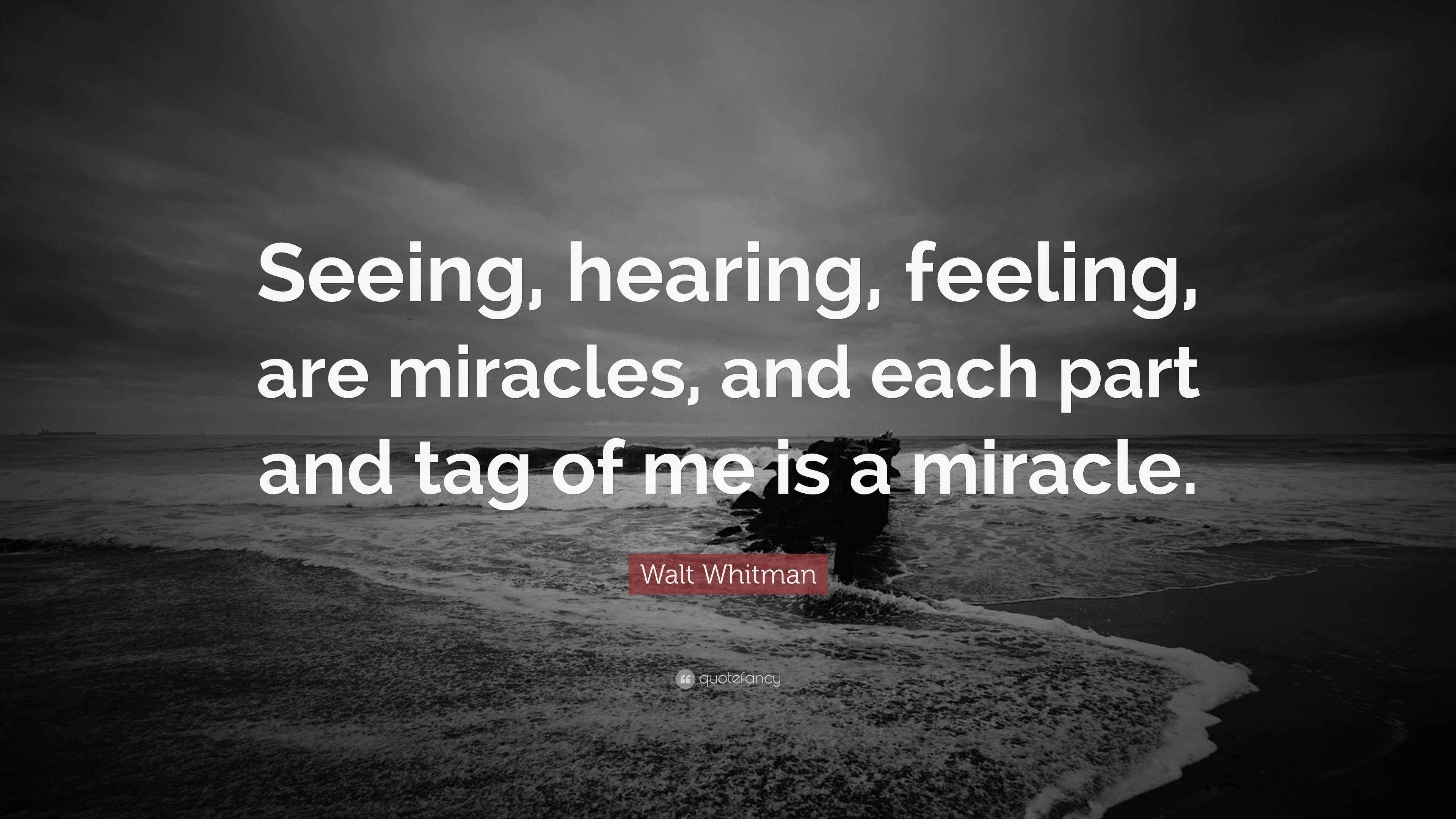 Walt Whitman Quote: “Seeing, hearing, feeling, are miracles, and each ...