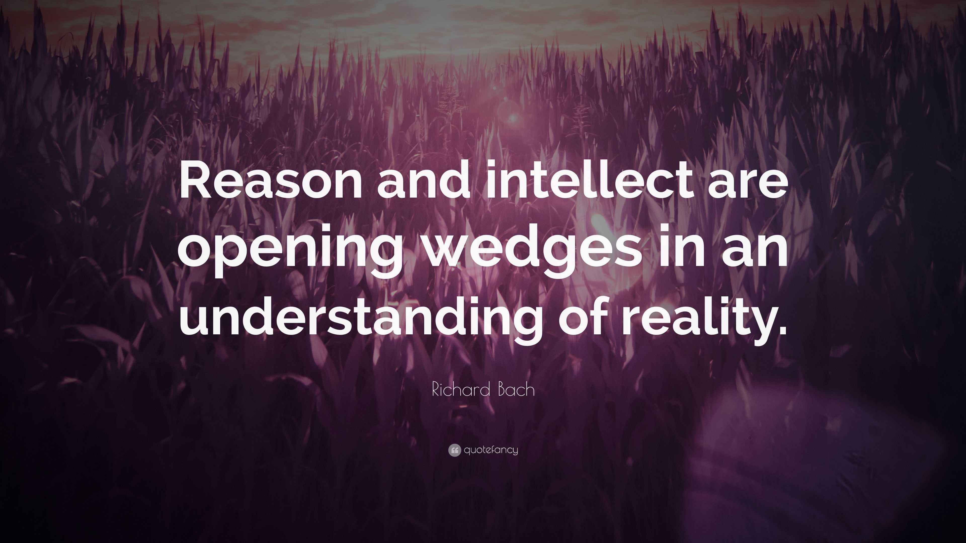 Richard Bach Quote: “Reason and intellect are opening wedges in an ...