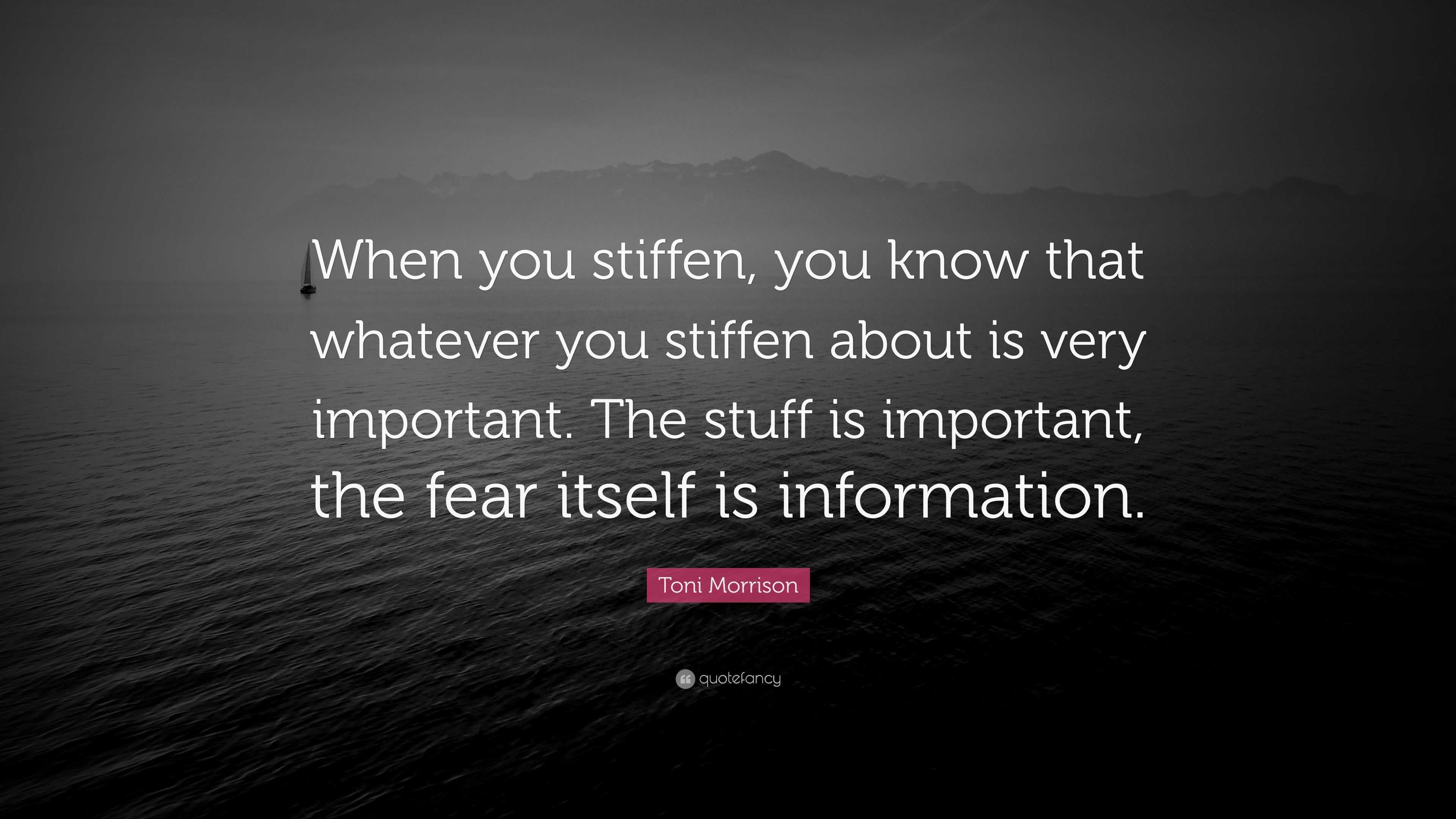 Toni Morrison Quote: “When you stiffen, you know that whatever you ...