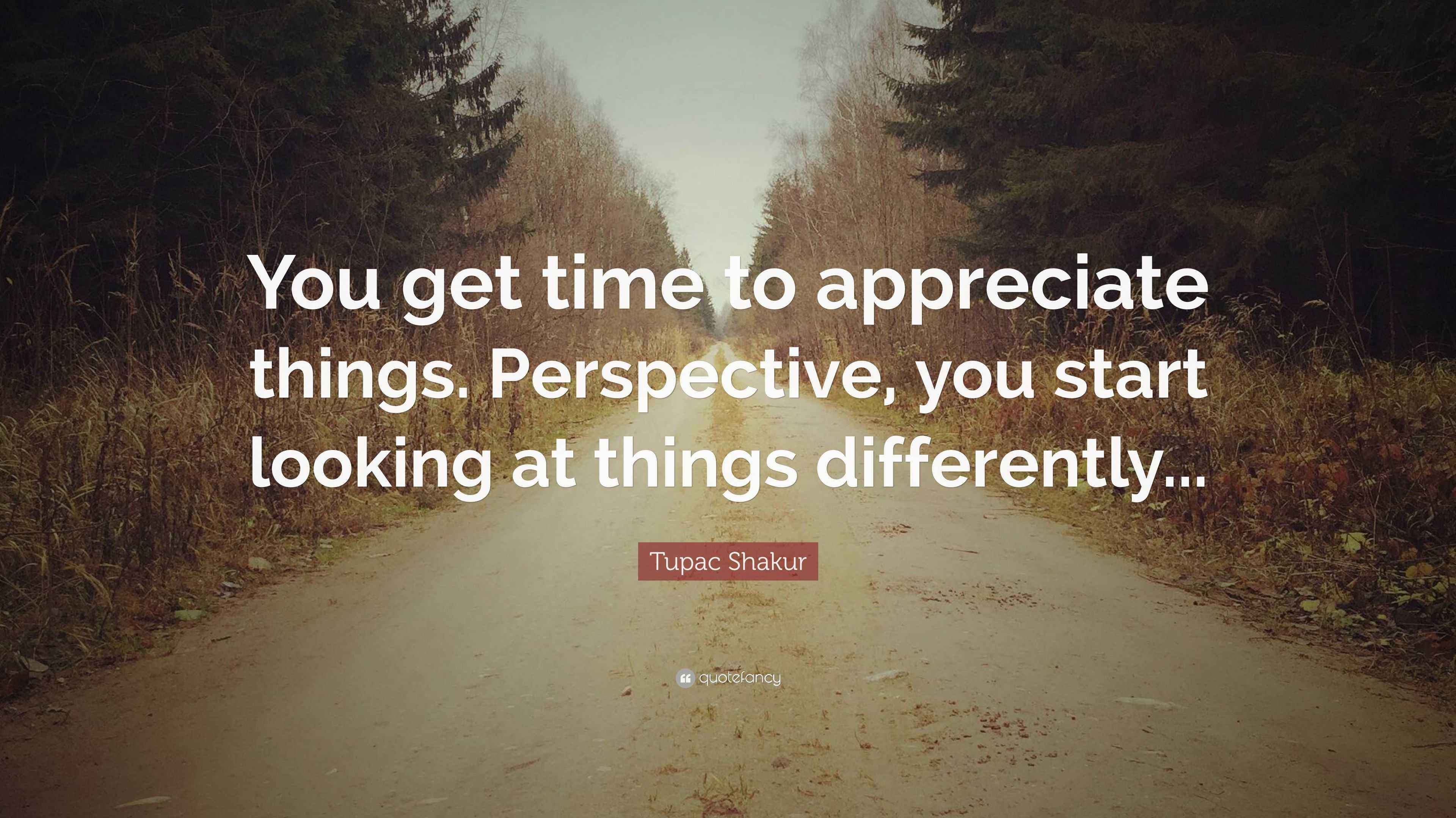 Tupac Shakur Quote: “You get time to appreciate things. Perspective ...