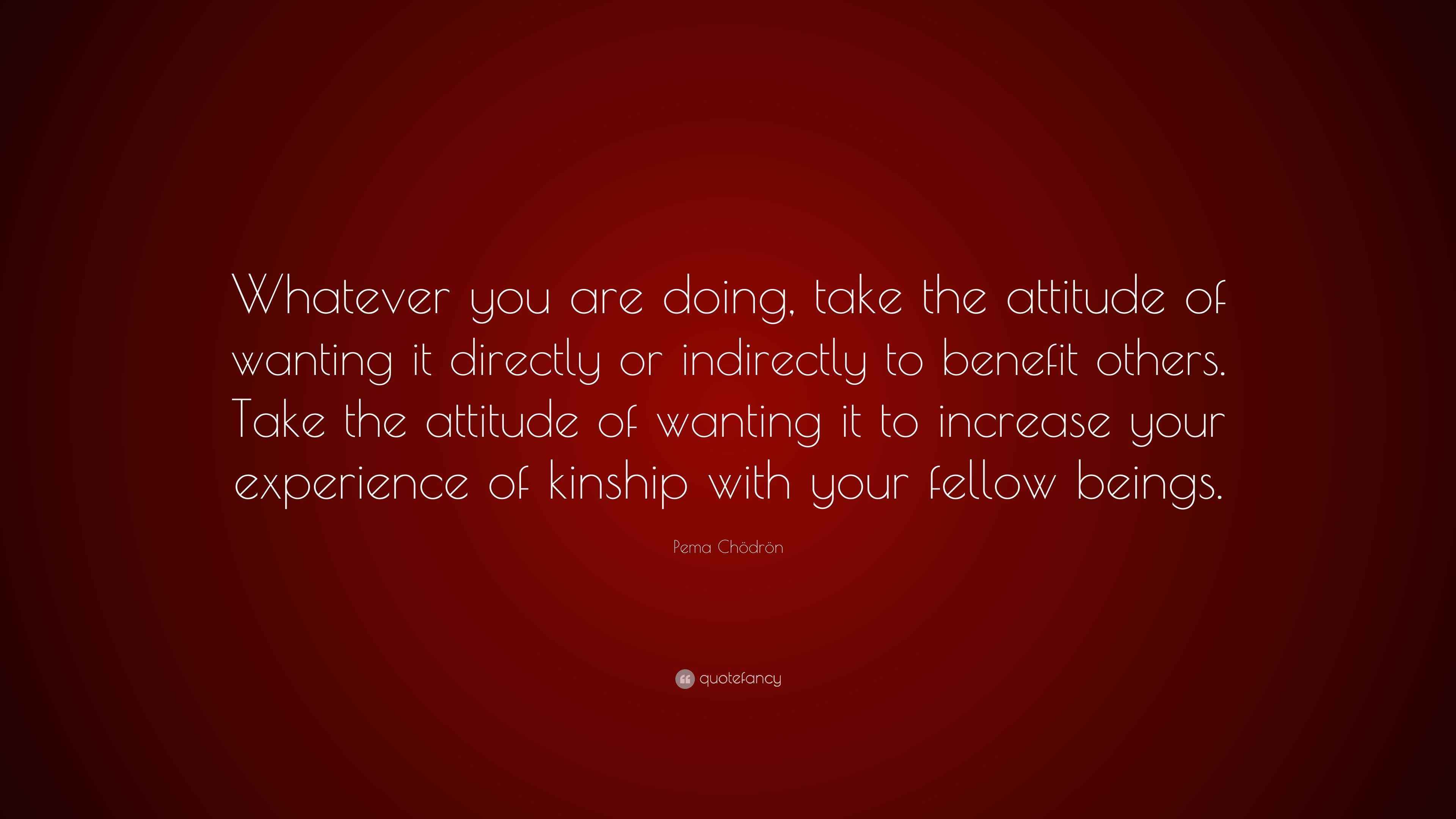 Pema Chödrön Quote: “Whatever you are doing, take the attitude of ...