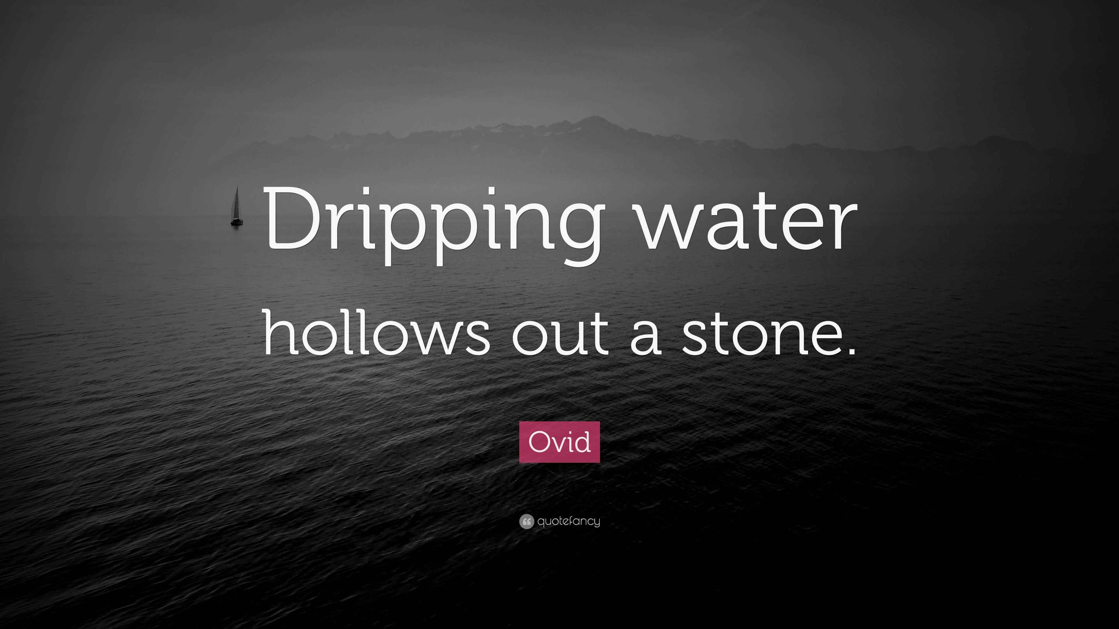 Ovid Quote: “Dripping water hollows out a stone.”