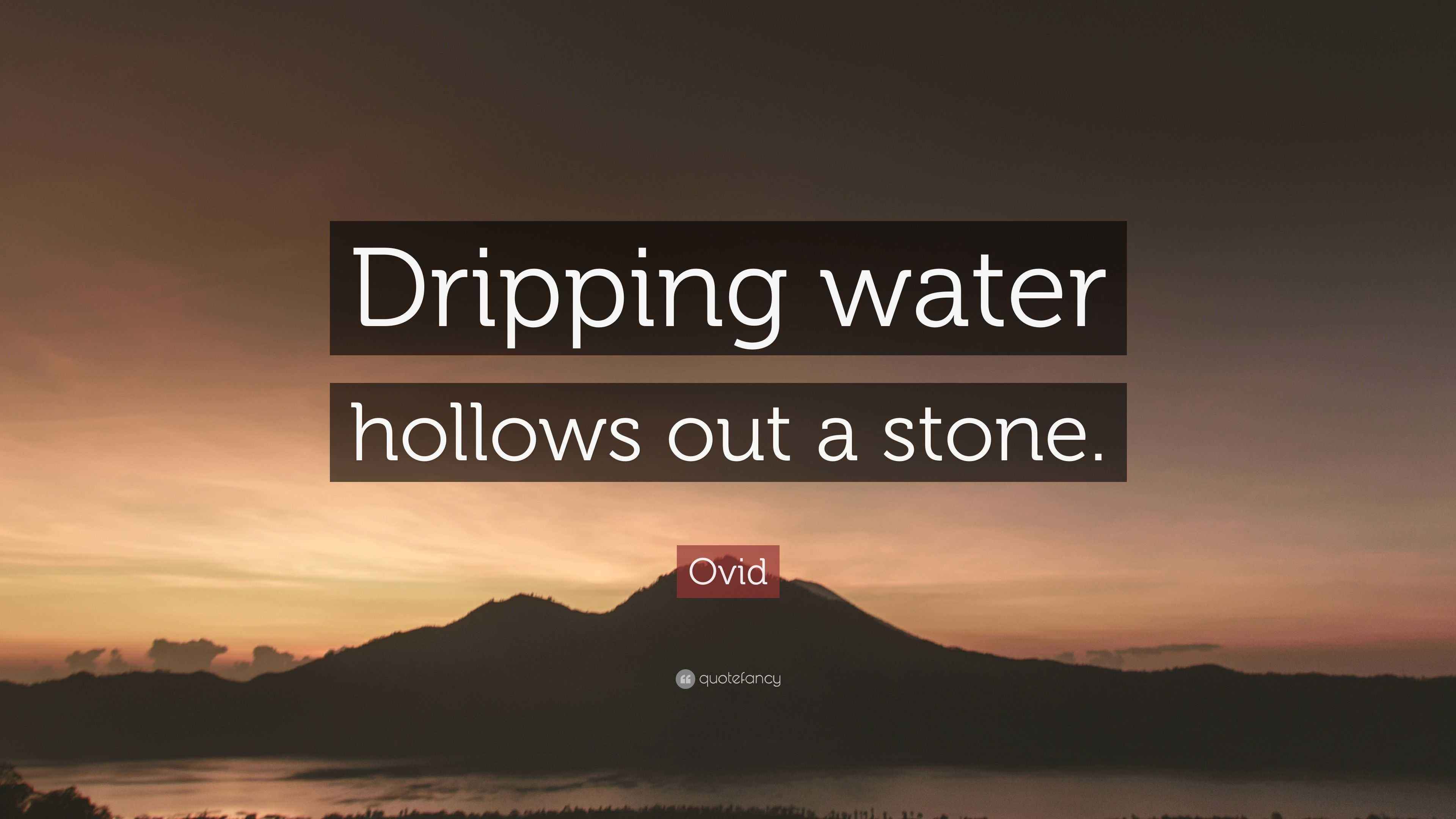 Ovid Quote: “Dripping water hollows out a stone.”