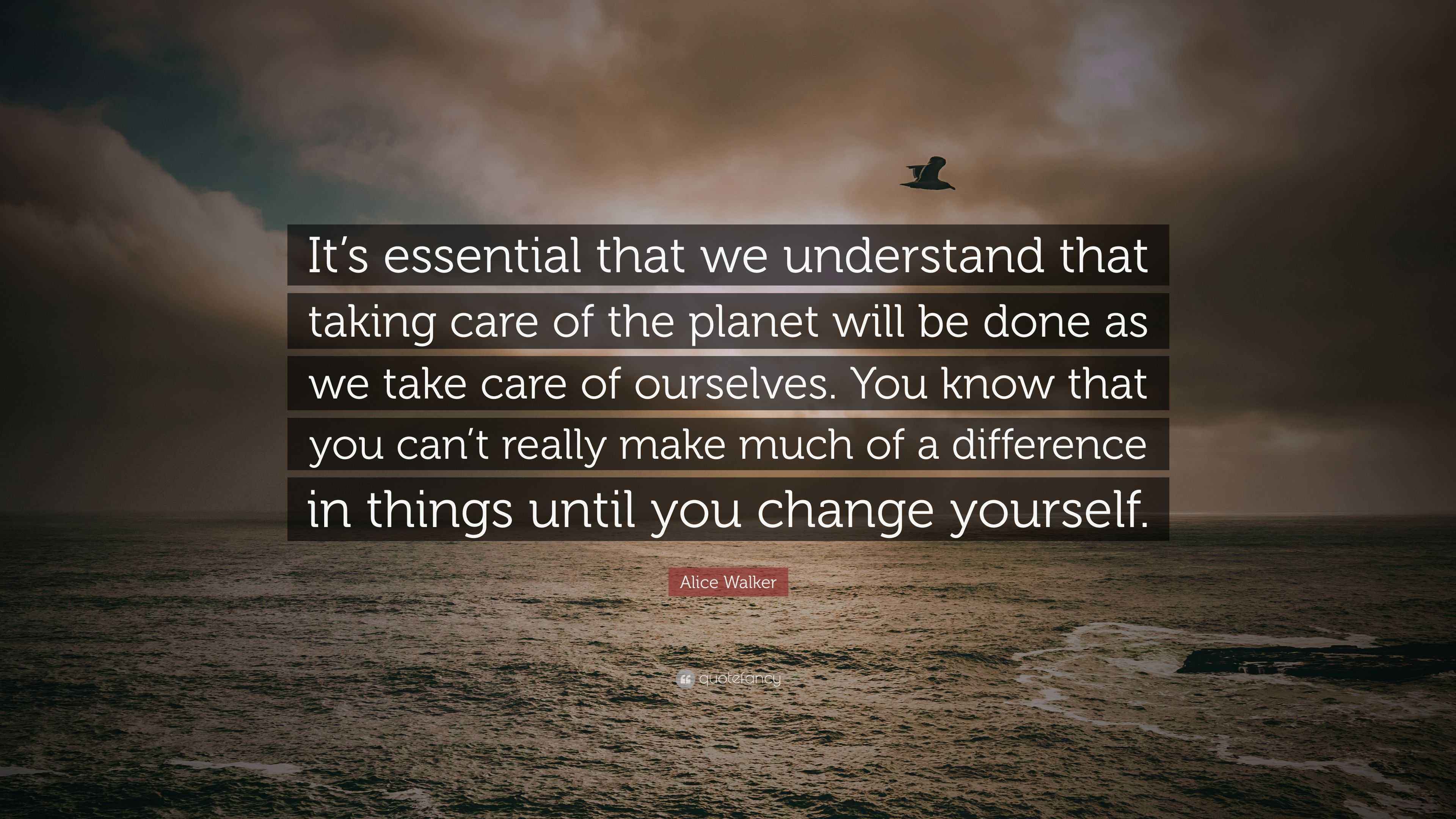 Alice Walker Quote: “It’s essential that we understand that taking care ...