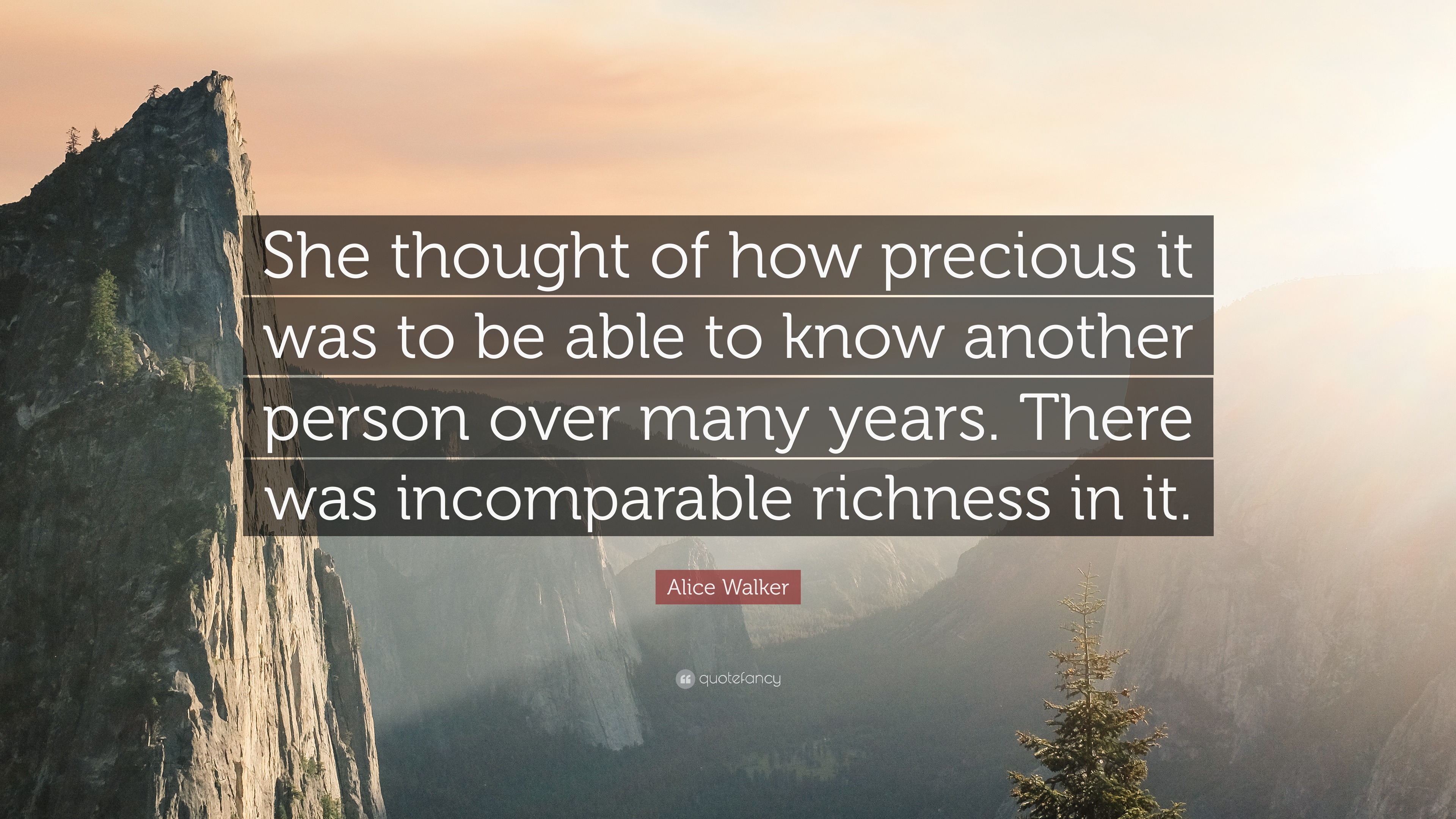 Alice Walker Quote: “She thought of how precious it was to be able to ...