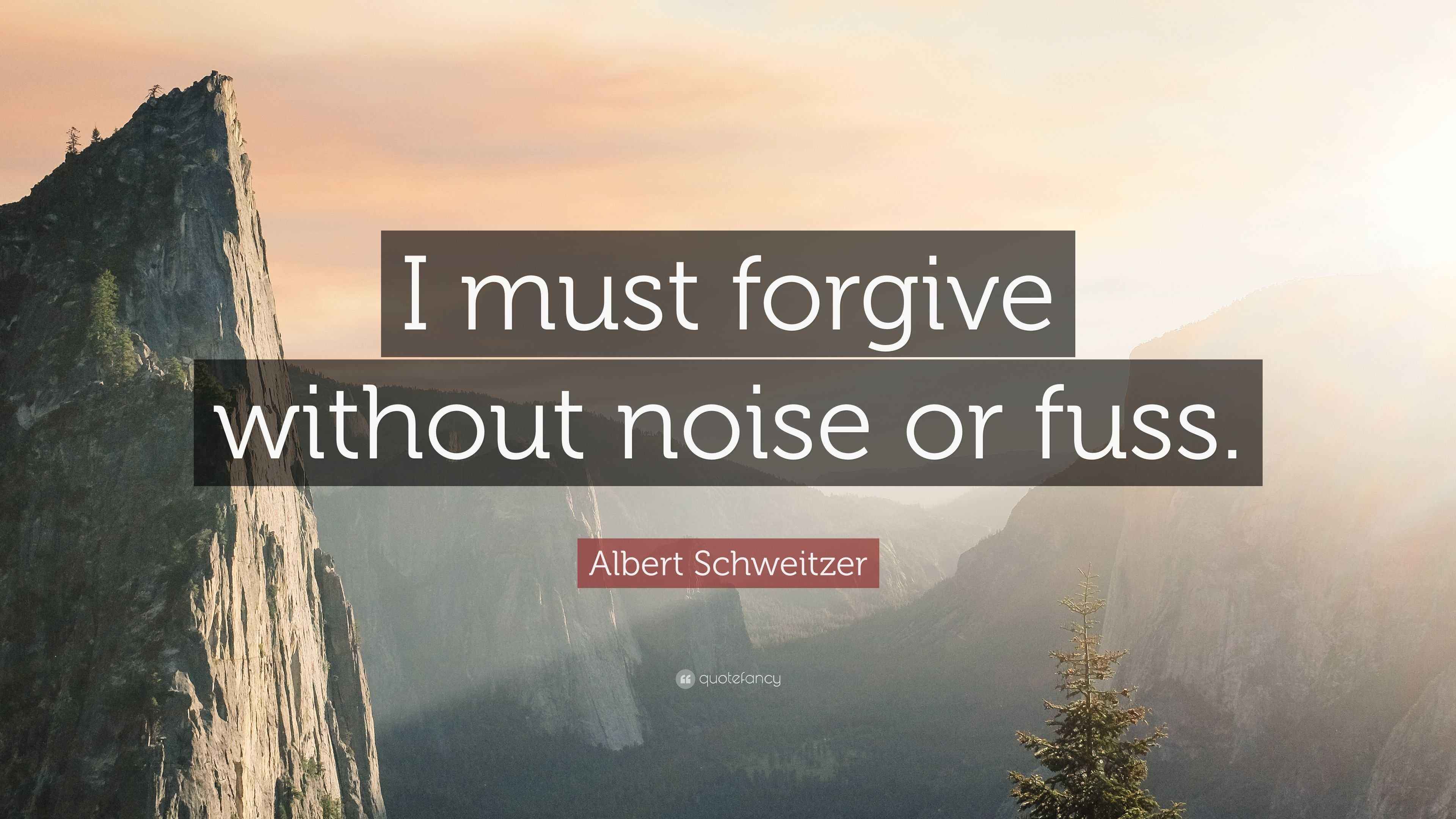 Albert Schweitzer Quote: “I must forgive without noise or fuss.”
