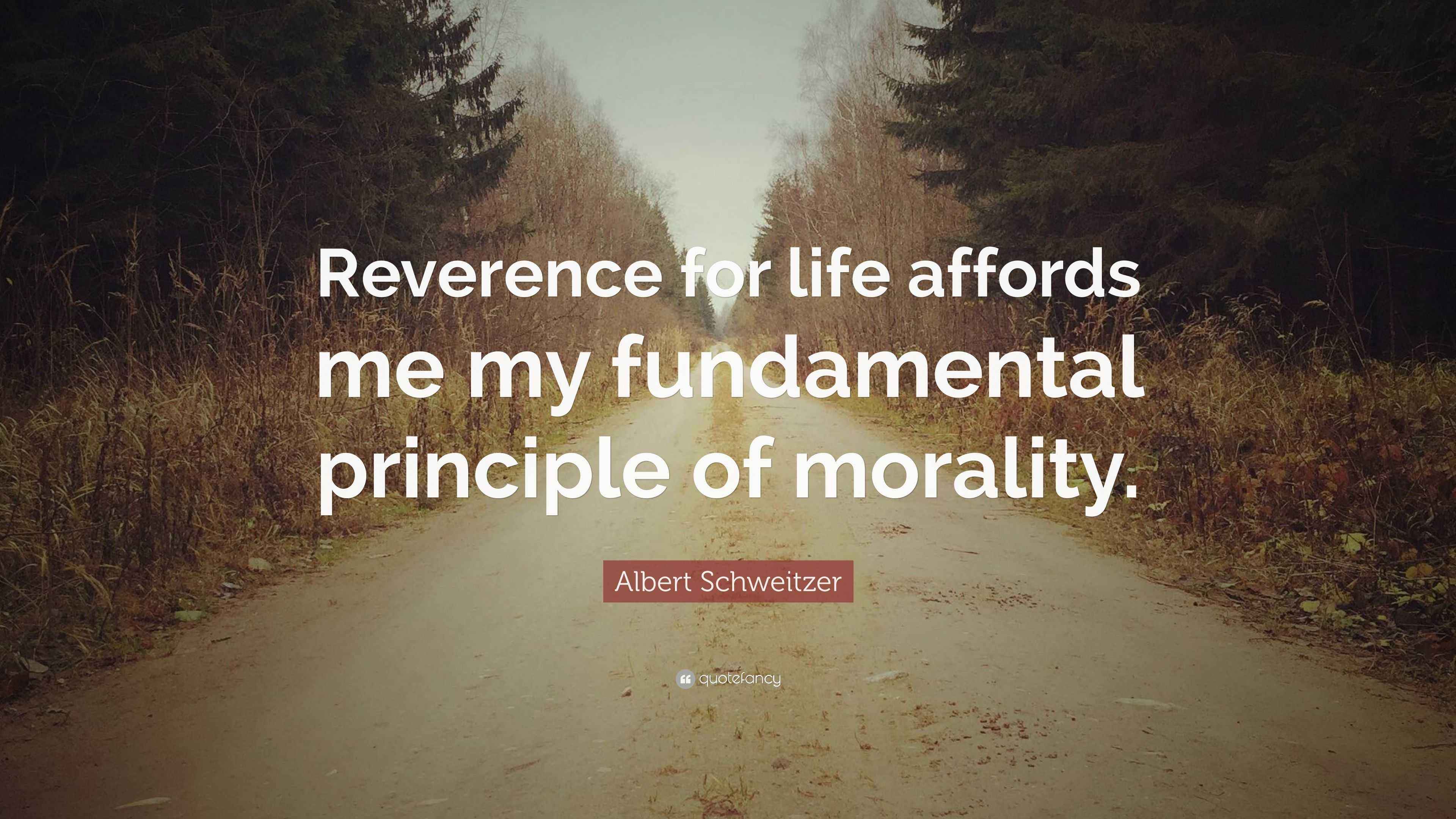 Albert Schweitzer Quote: “Reverence for life affords me my fundamental ...