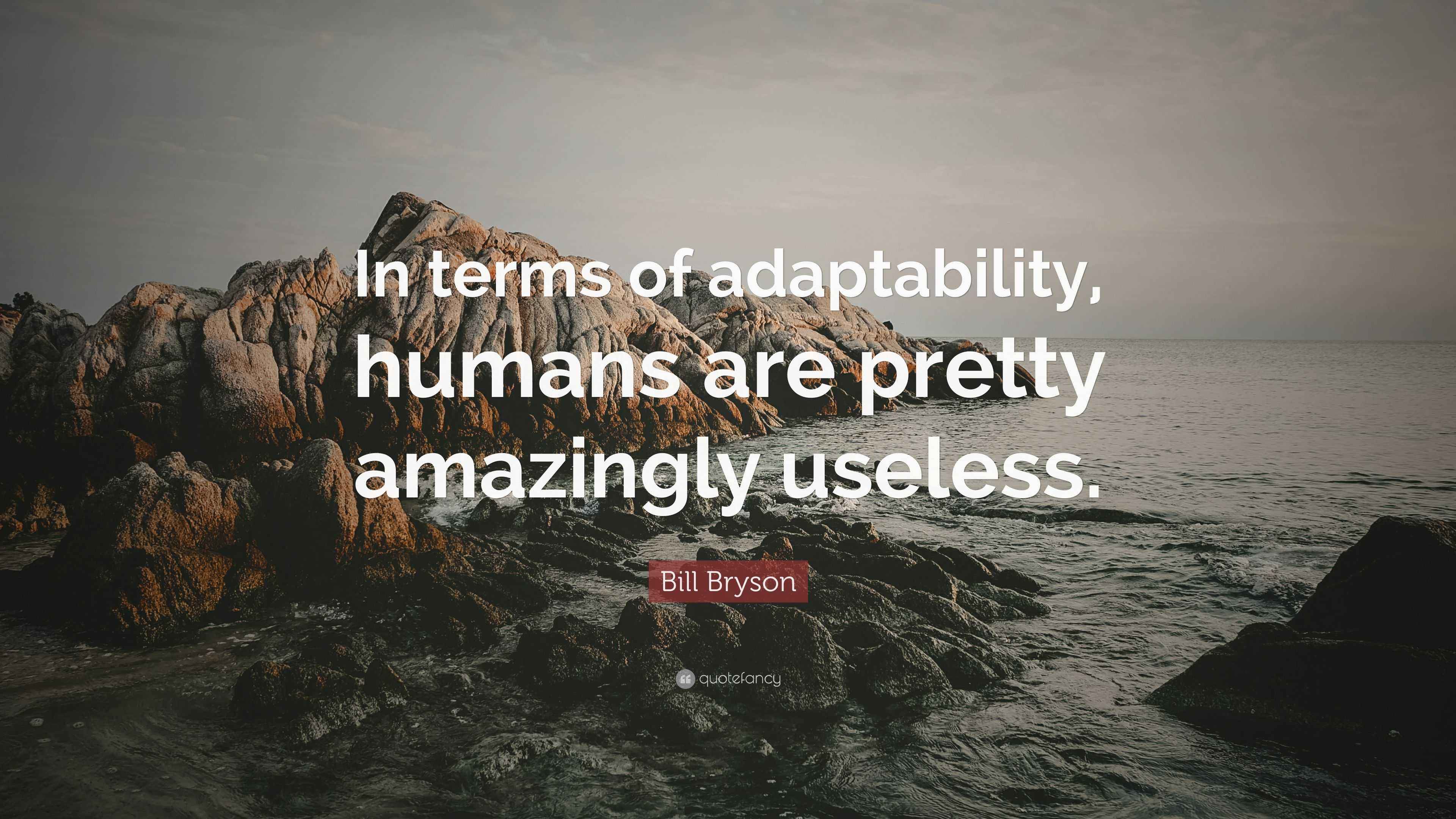 Bill Bryson Quote: “In terms of adaptability, humans are pretty ...