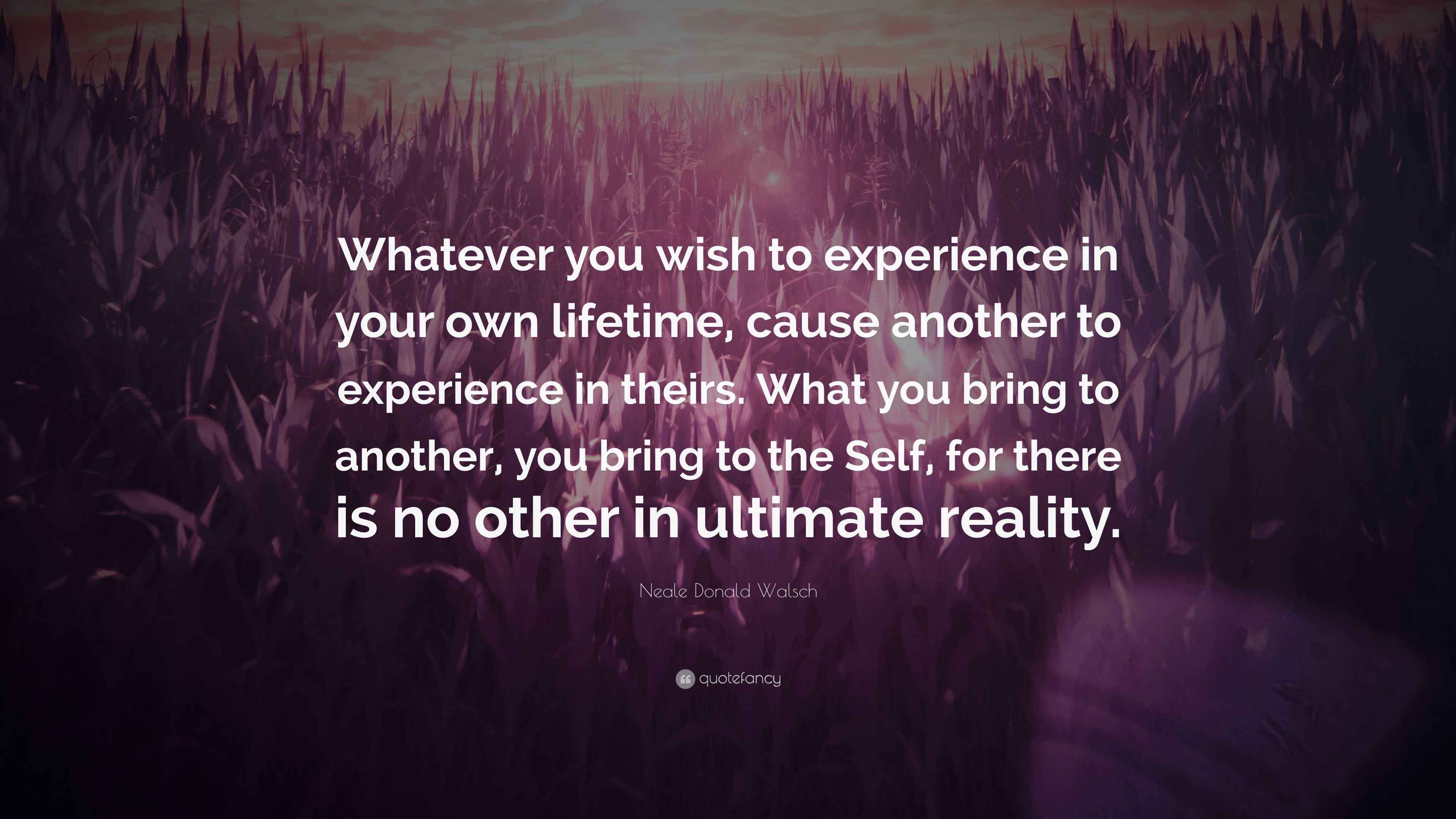 Neale Donald Walsch Quote: “Whatever you wish to experience in your own ...