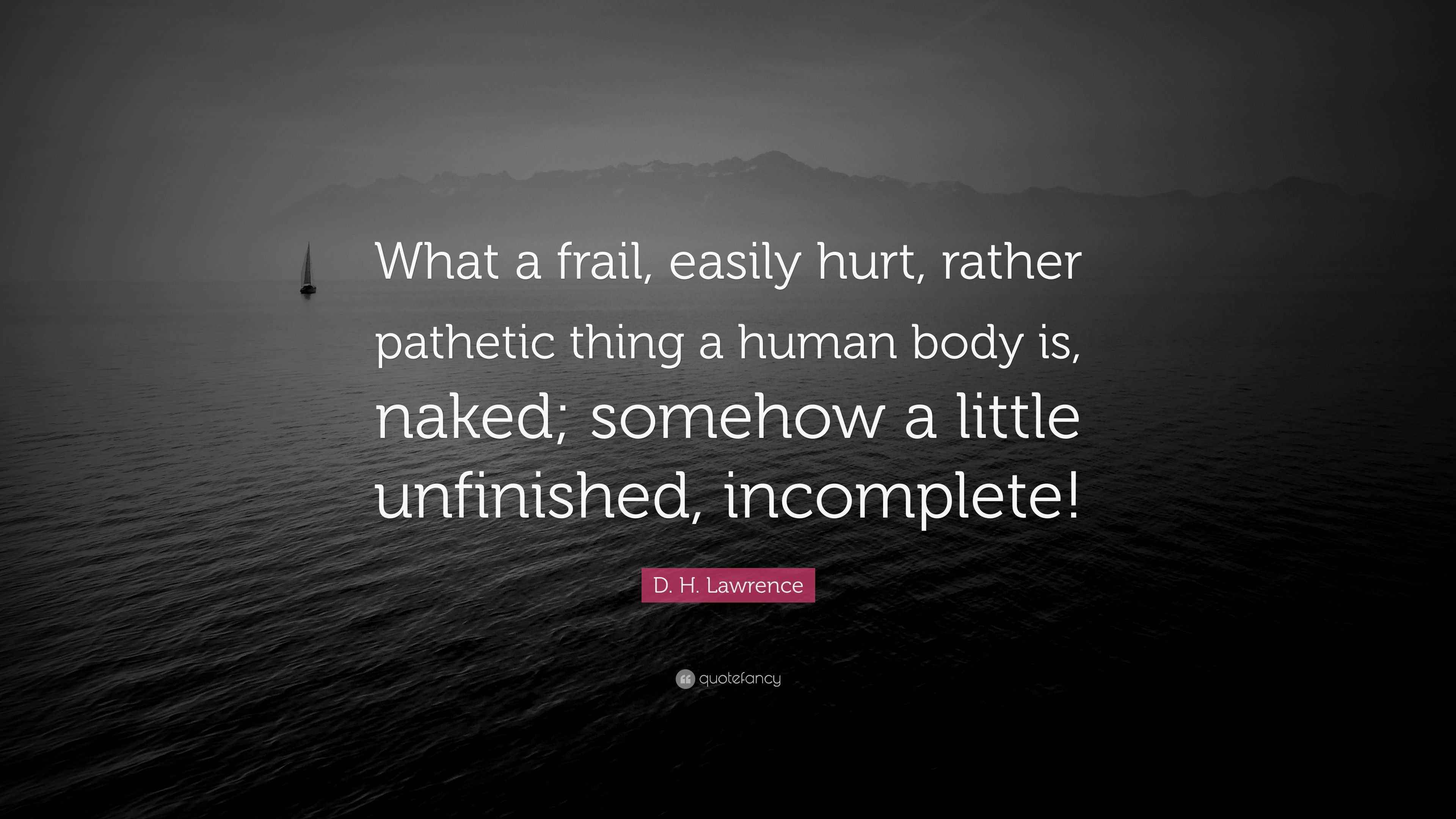 D. H. Lawrence Quote: “What a frail, easily hurt, rather pathetic thing ...