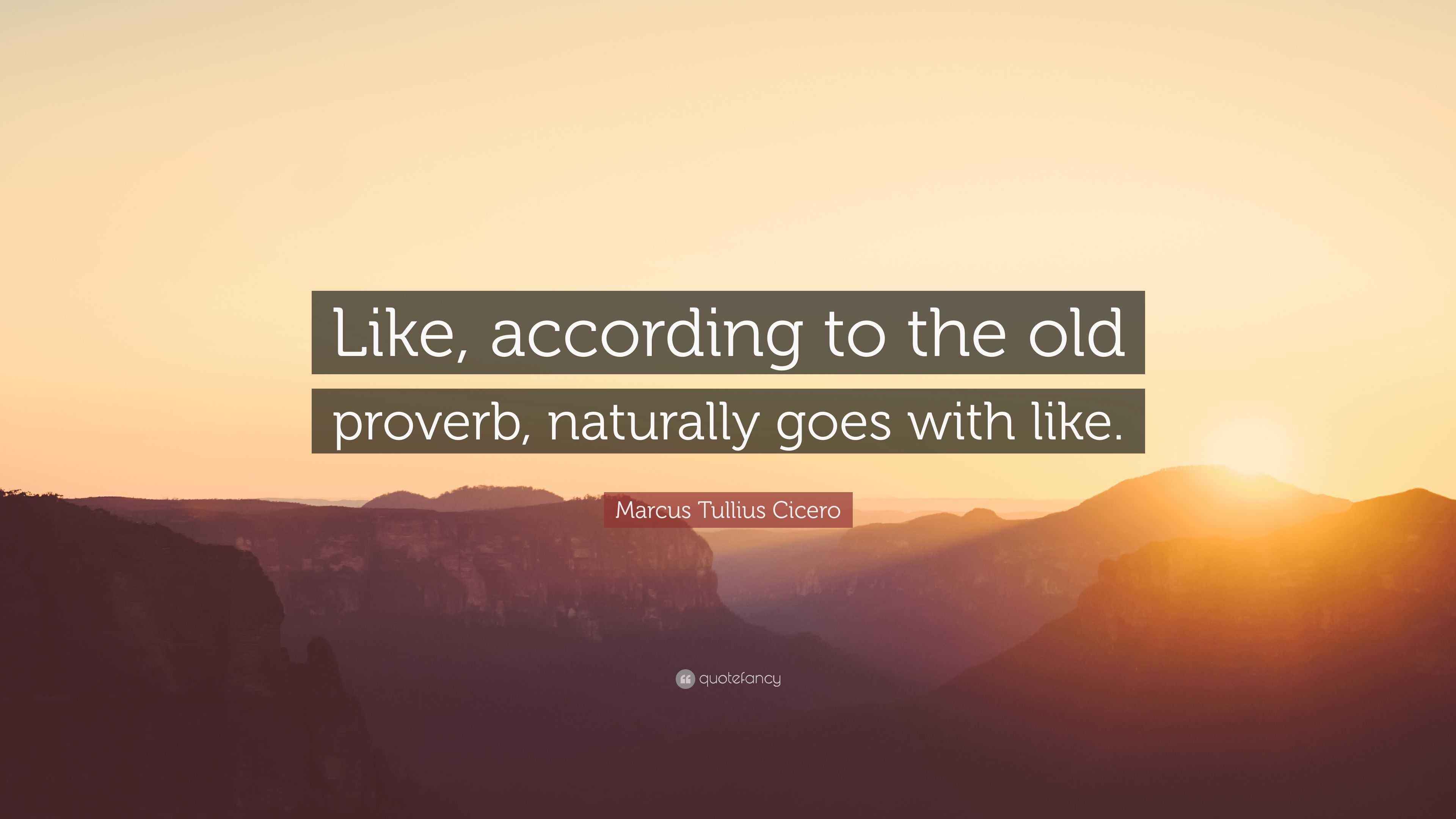 Marcus Tullius Cicero Quote: “Like, according to the old proverb ...