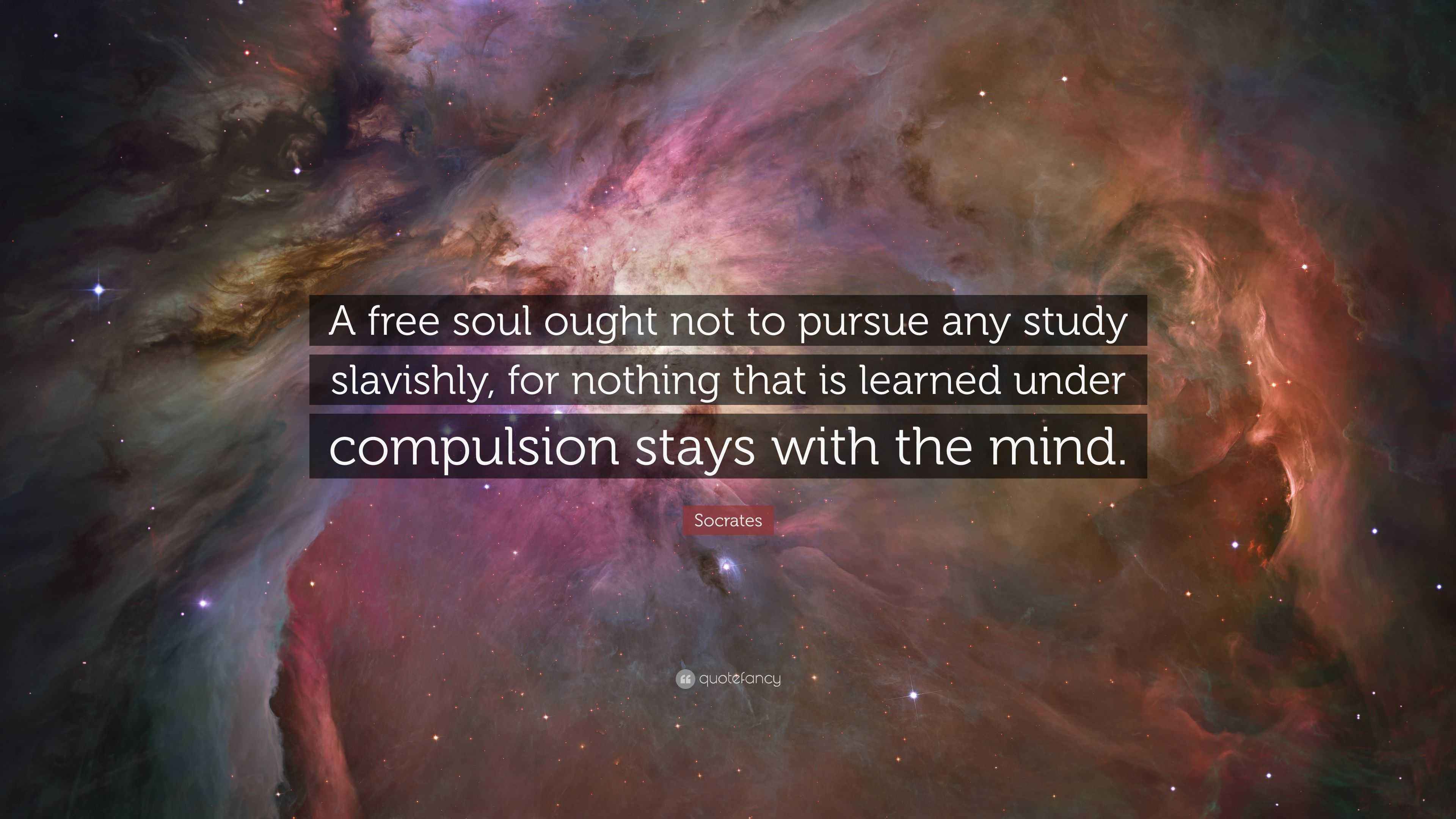 Socrates Quote: “A free soul ought not to pursue any study slavishly ...