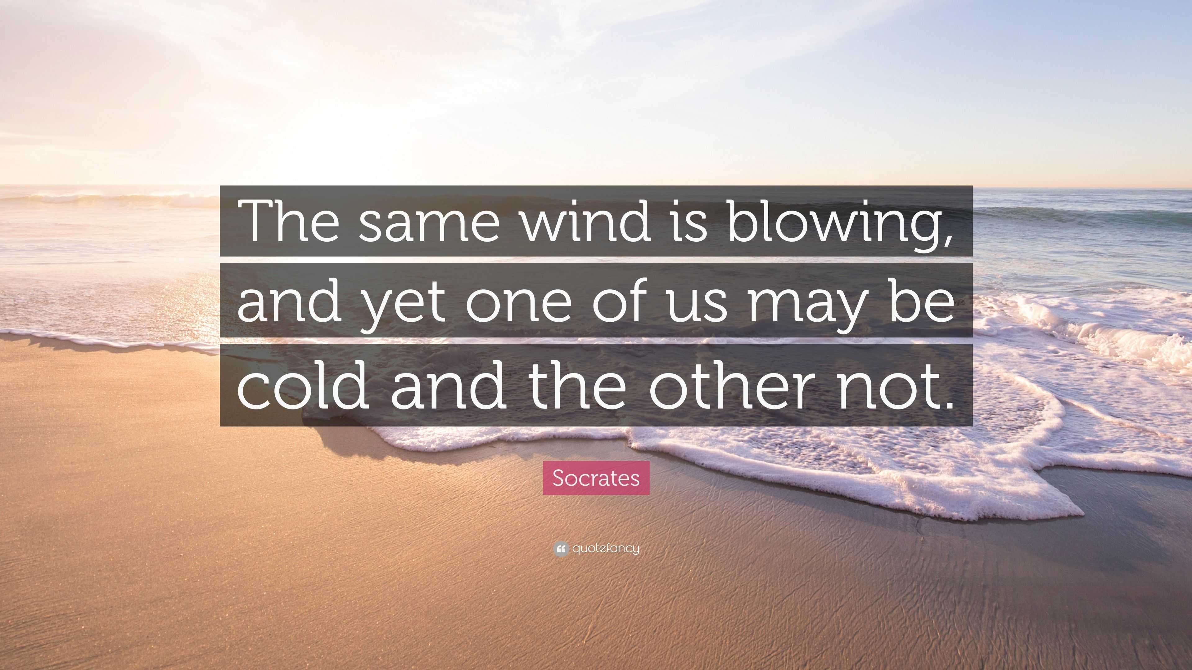 Socrates Quote: “The same wind is blowing, and yet one of us may be ...