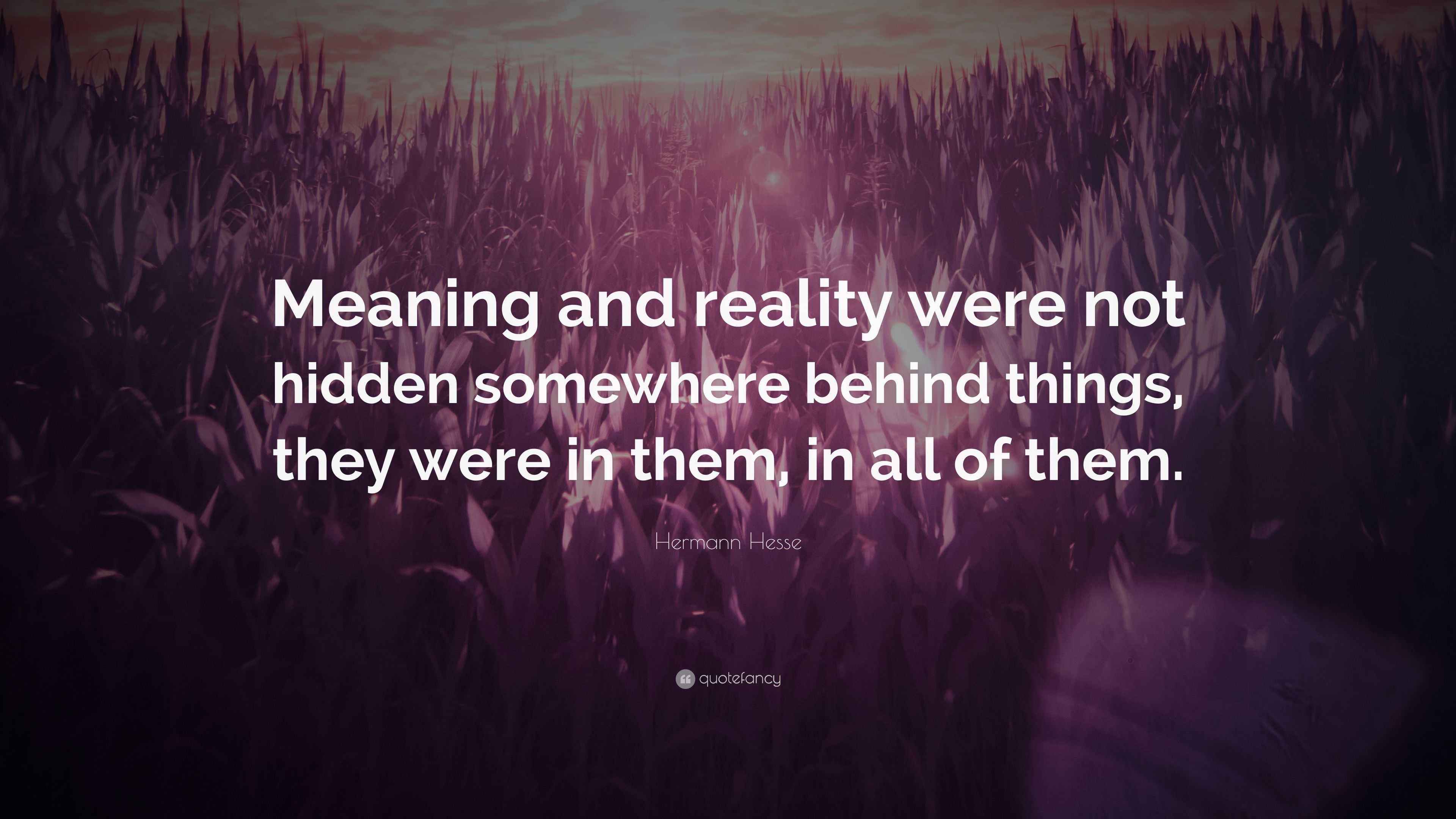 Hermann Hesse Quote: “Meaning and reality were not hidden somewhere ...
