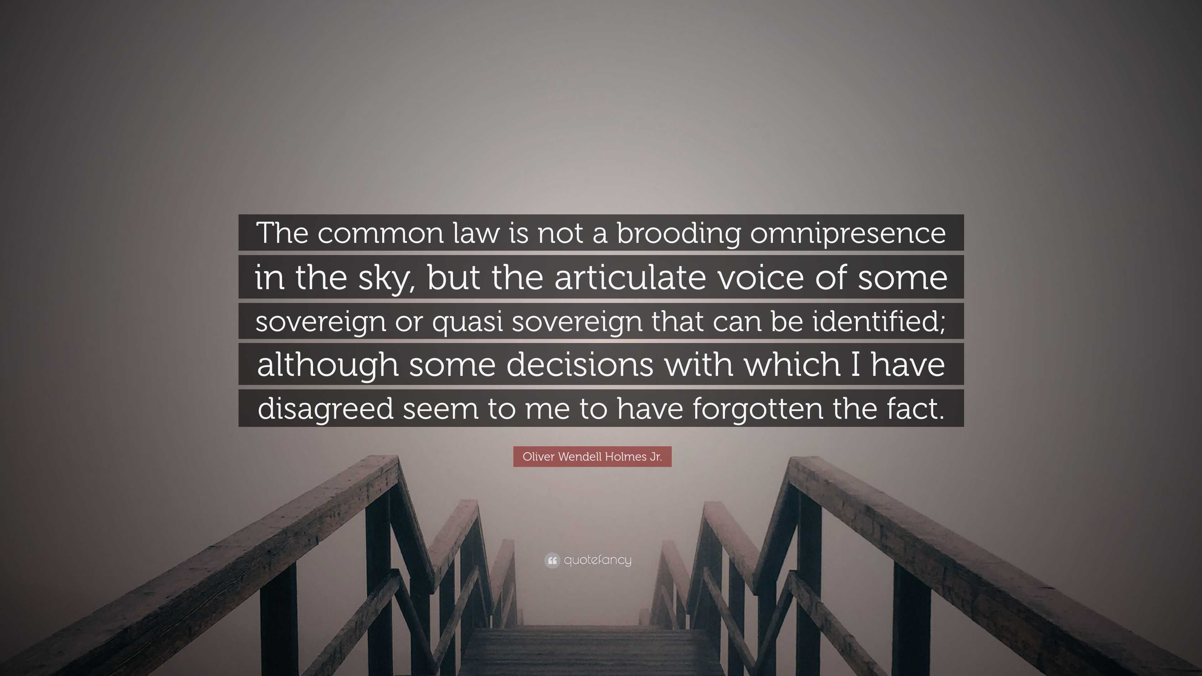 Oliver Wendell Holmes Jr. Quote: “The common law is not a brooding ...