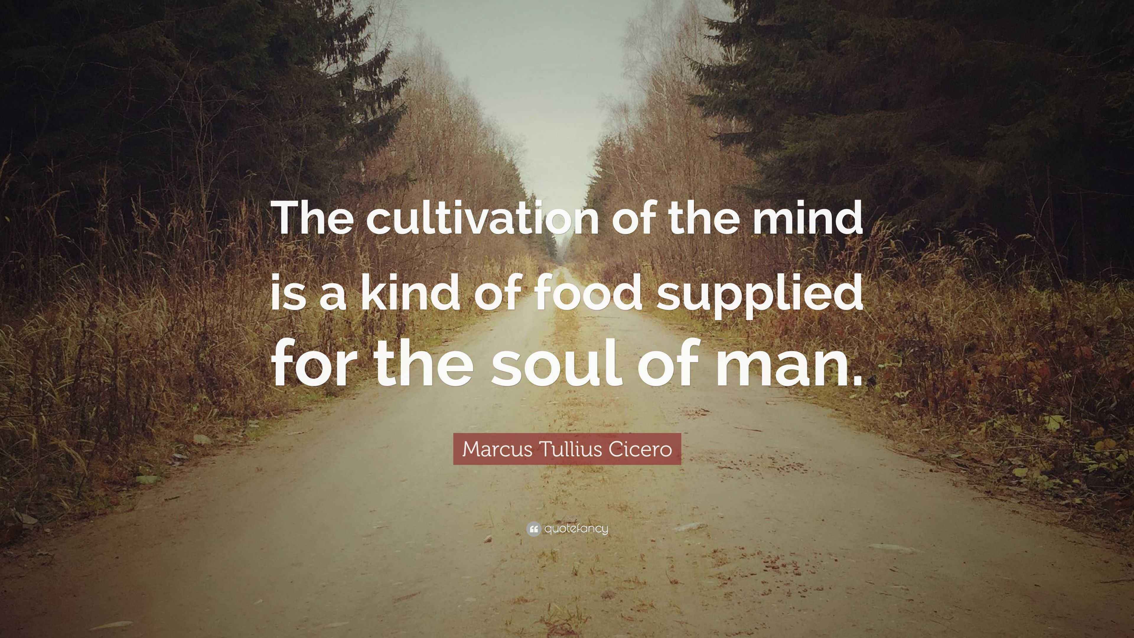 Marcus Tullius Cicero Quote: “The cultivation of the mind is a kind of ...