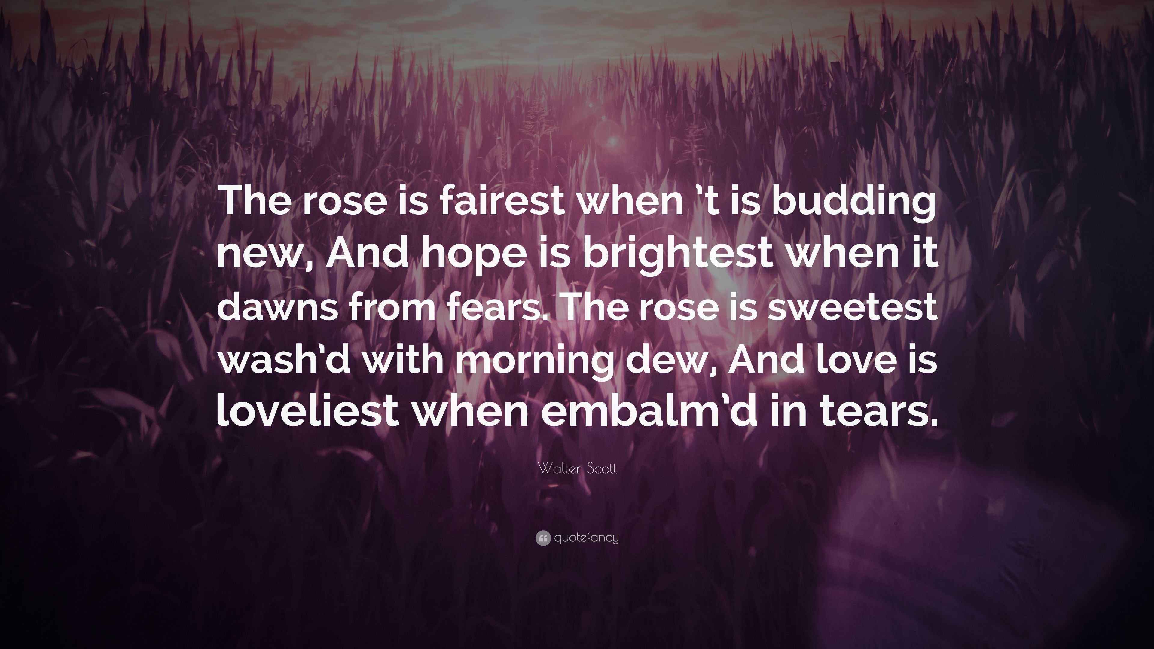 Walter Scott Quote: “The rose is fairest when ’t is budding new, And ...