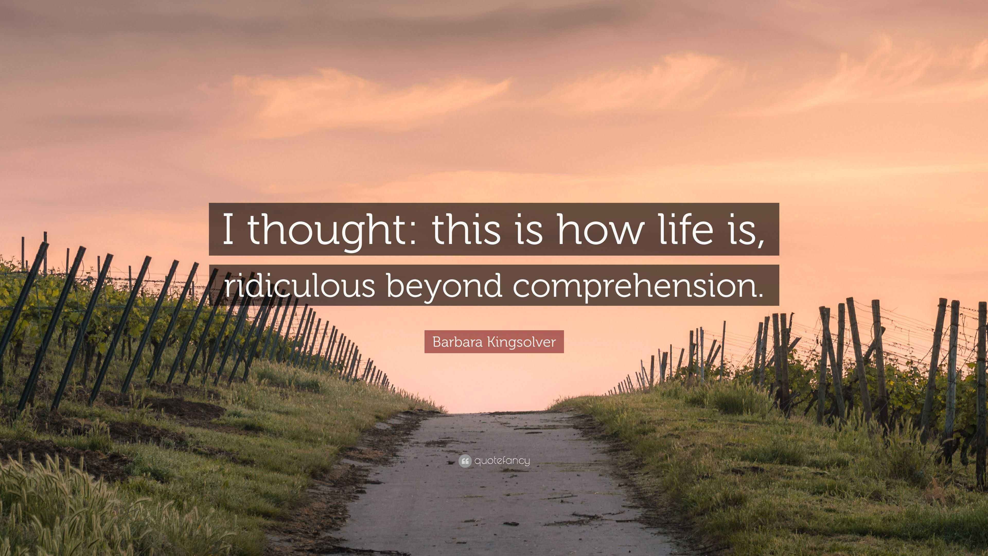 Barbara Kingsolver Quote: “I thought: this is how life is, ridiculous ...