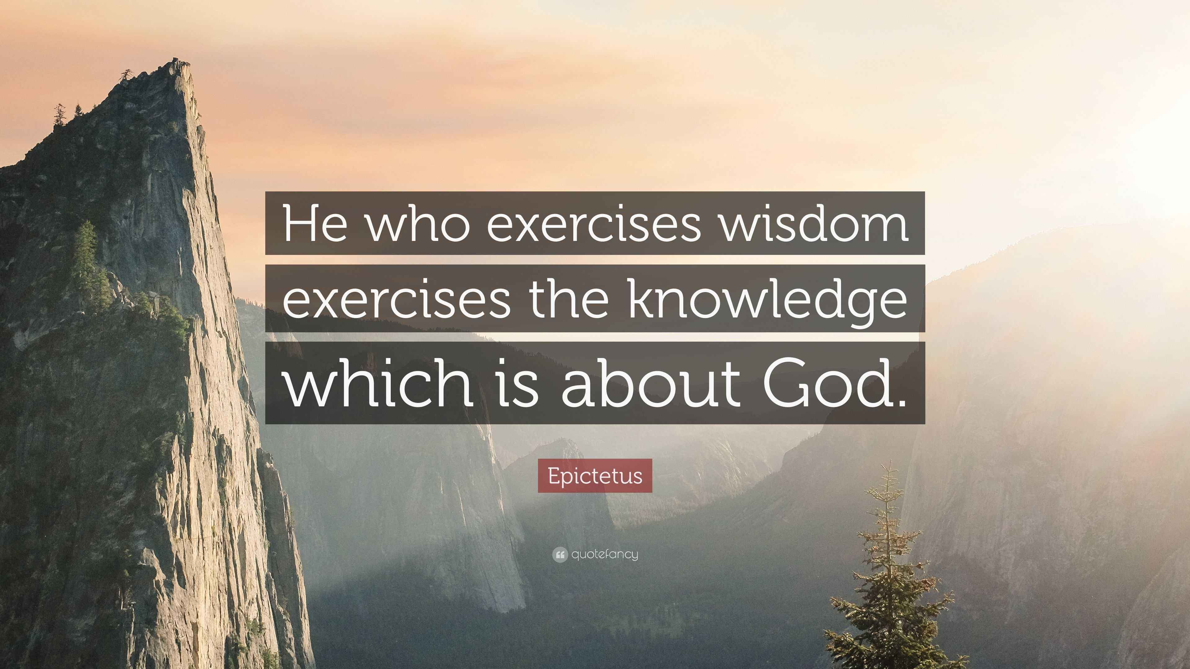 Epictetus Quote: “He who exercises wisdom exercises the knowledge which ...