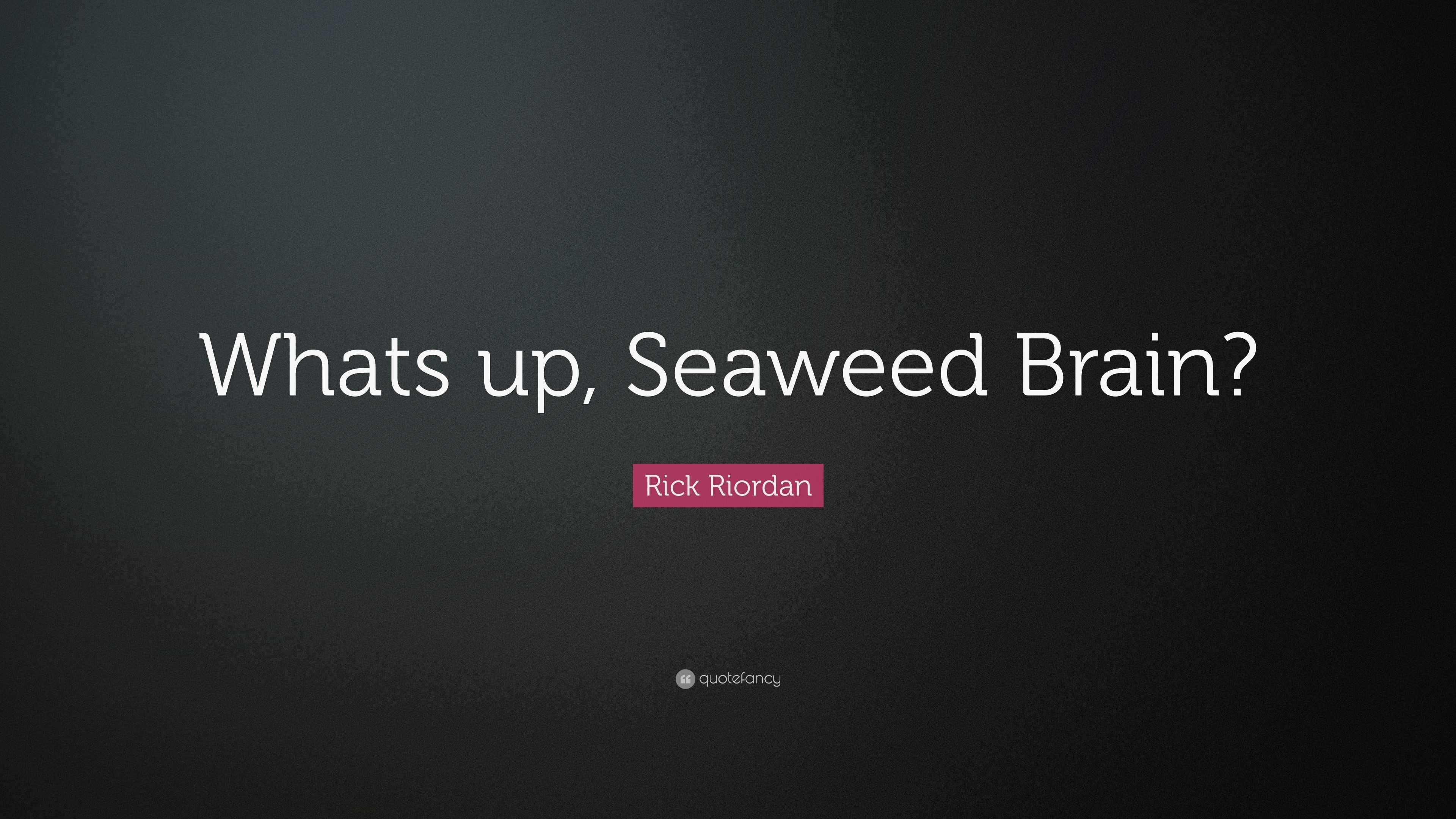 Rick Riordan Quote: “Whats up, Seaweed Brain?”