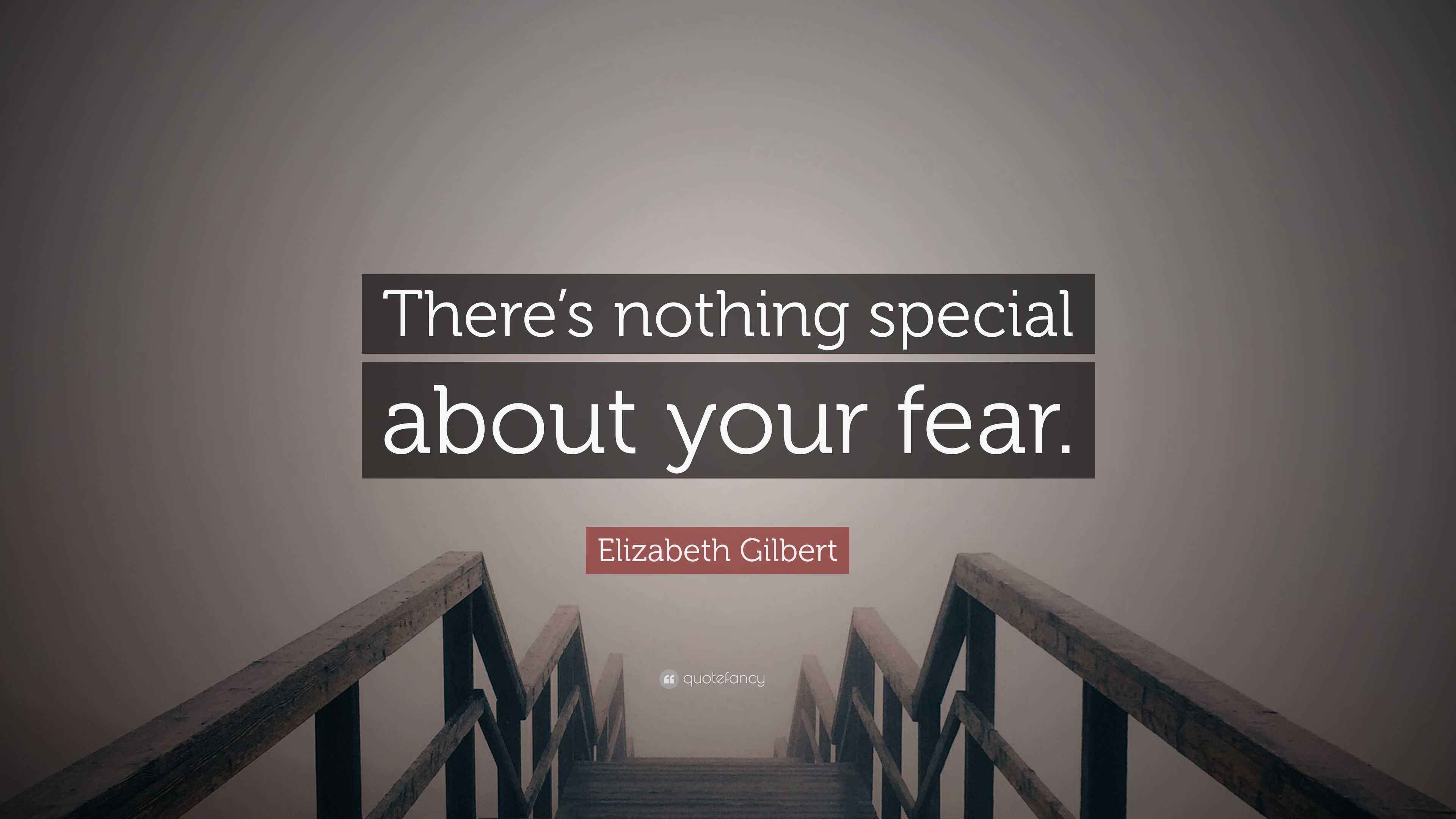Elizabeth Gilbert Quote: “There’s nothing special about your fear.”