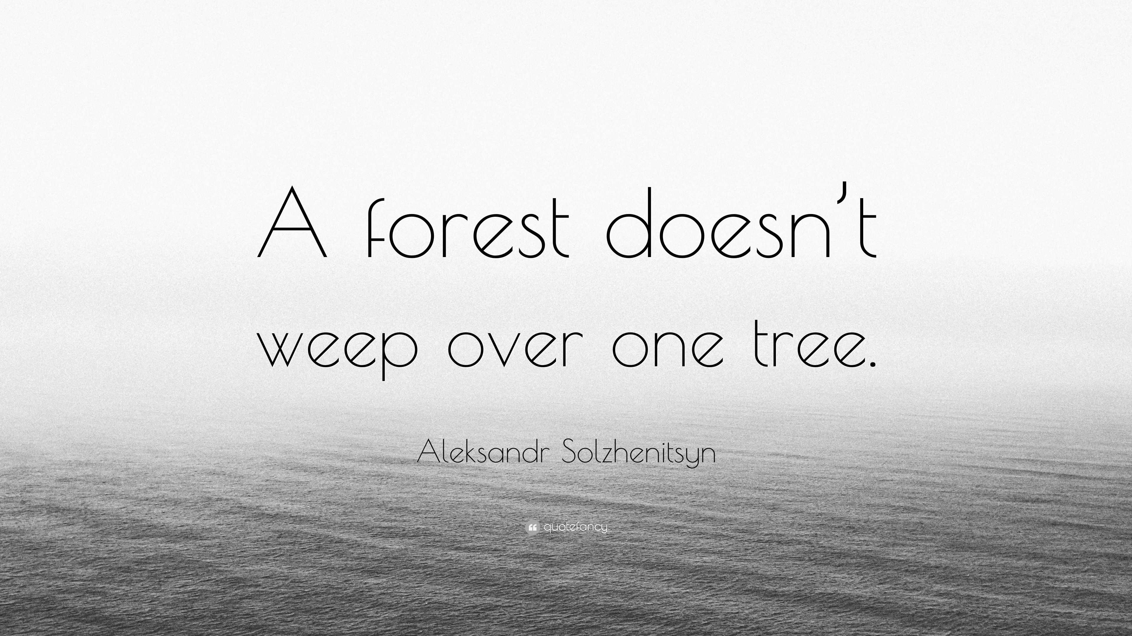 Aleksandr Solzhenitsyn Quote: “A forest doesn’t weep over one tree.”