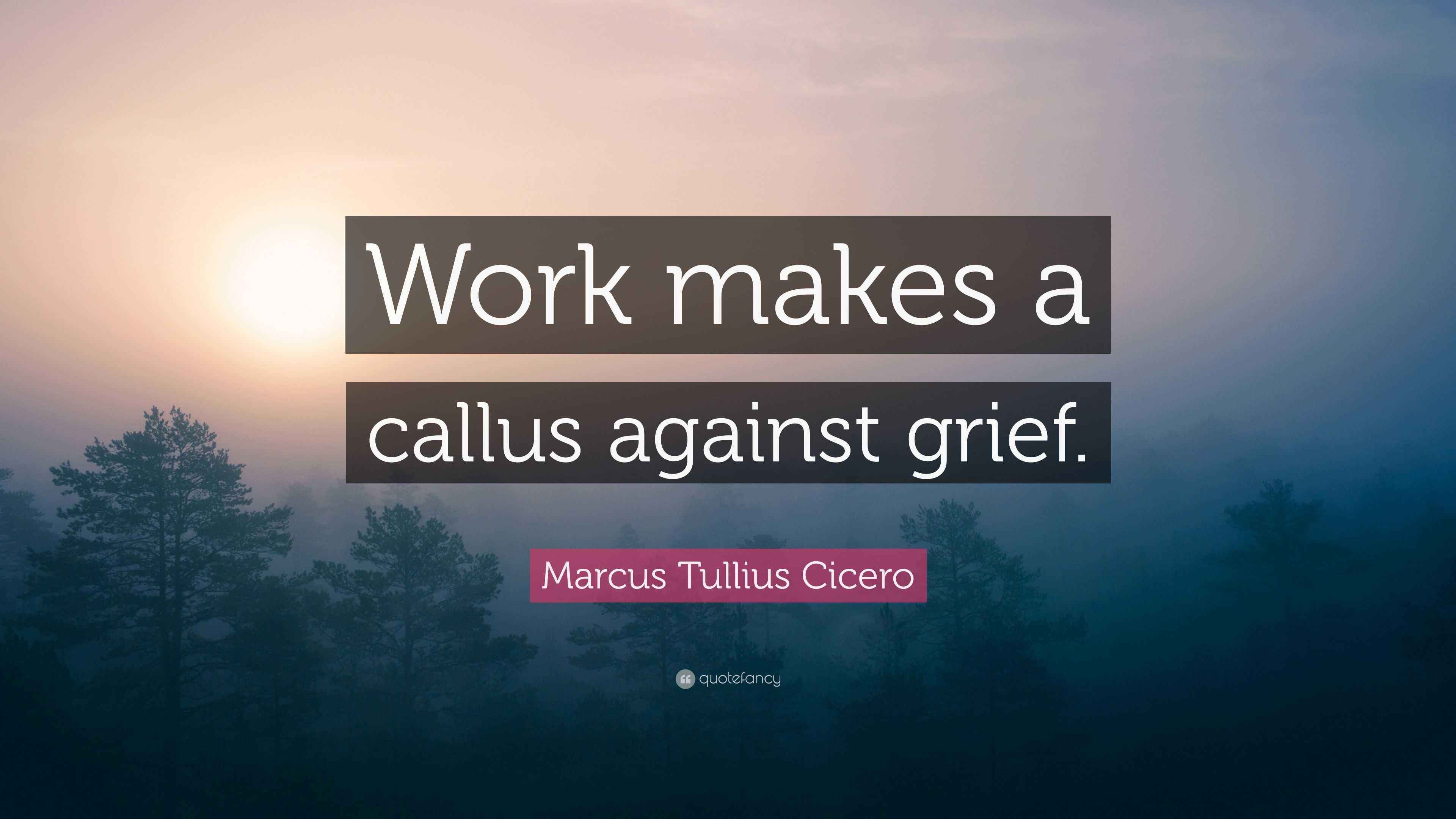 Marcus Tullius Cicero Quote: “Work makes a callus against grief.”