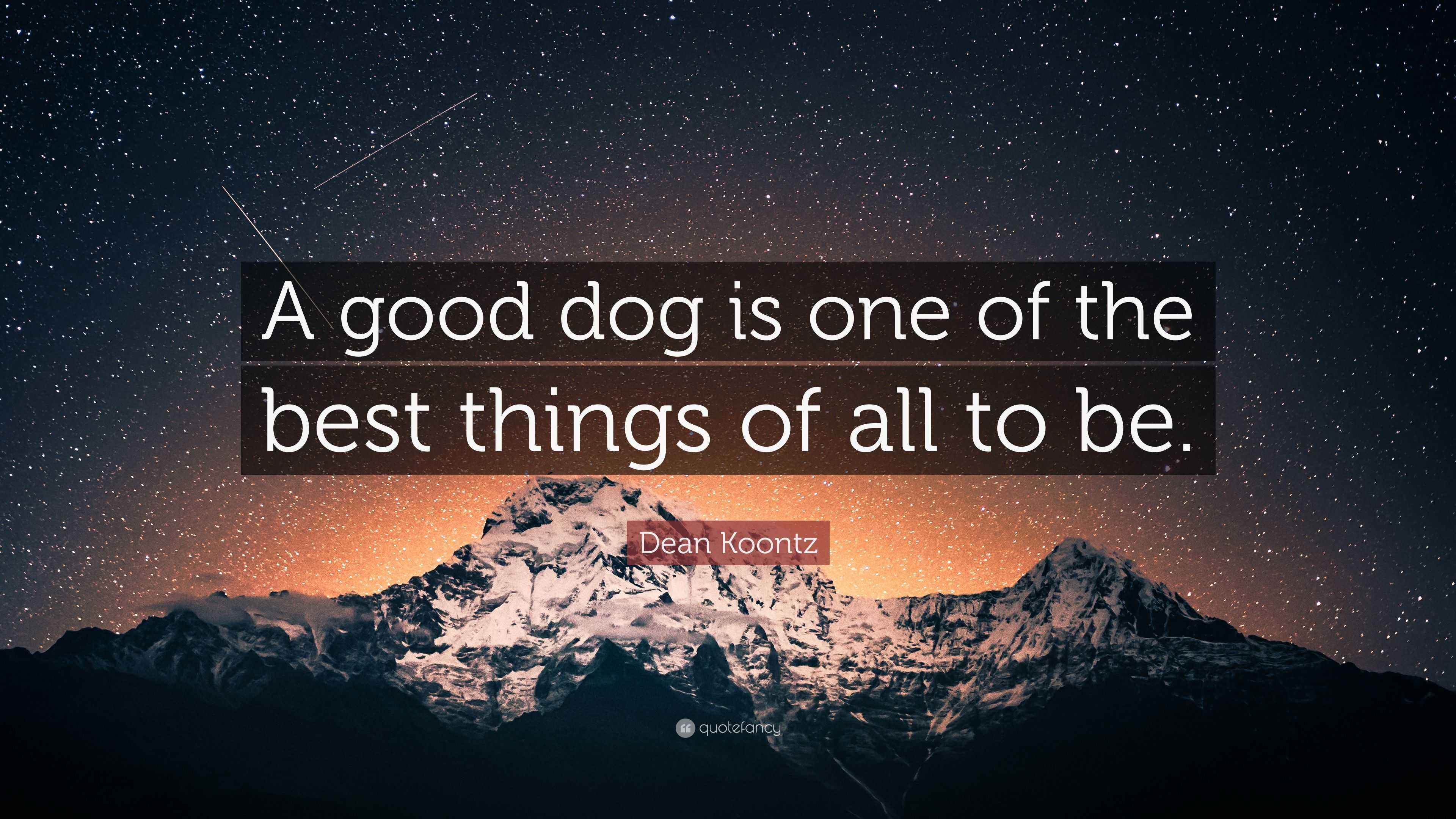Dean Koontz Quote: “A good dog is one of the best things of all to be.”