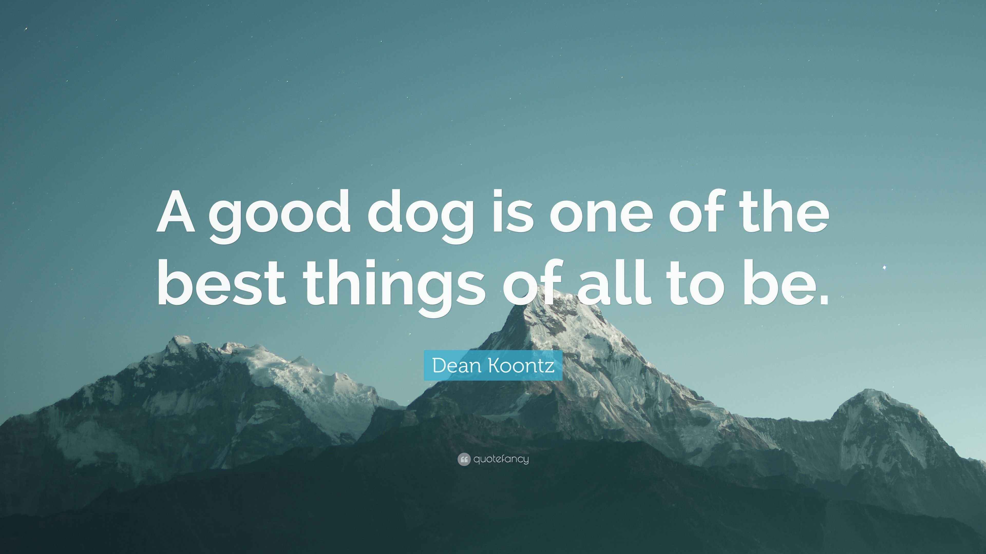 Dean Koontz Quote: “A good dog is one of the best things of all to be.”