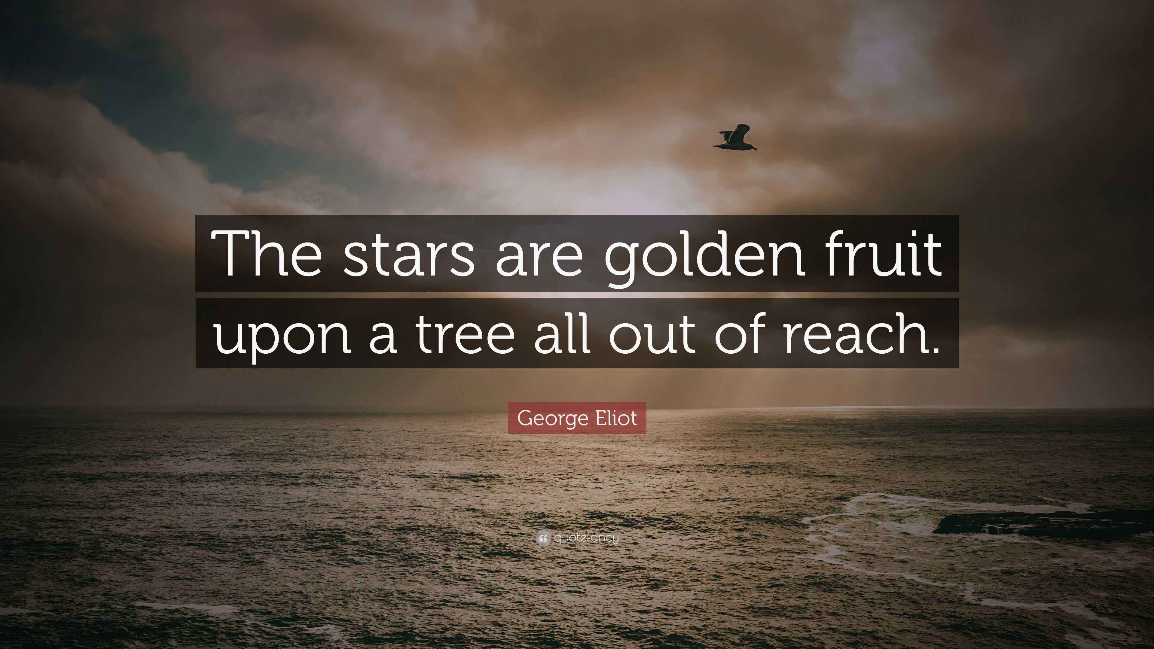George Eliot Quote: “The stars are golden fruit upon a tree all out of ...