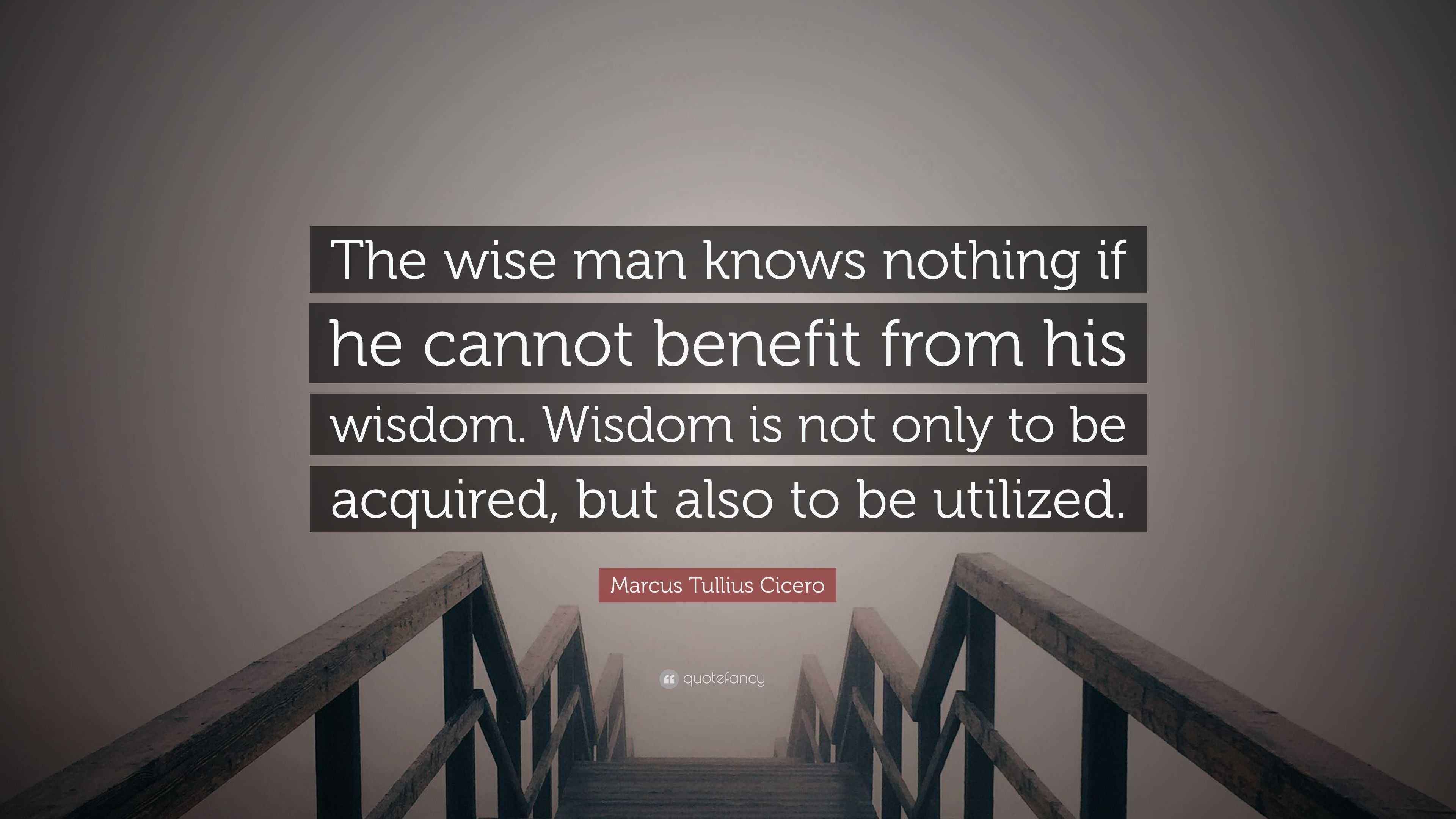 Marcus Tullius Cicero Quote: “The wise man knows nothing if he cannot ...