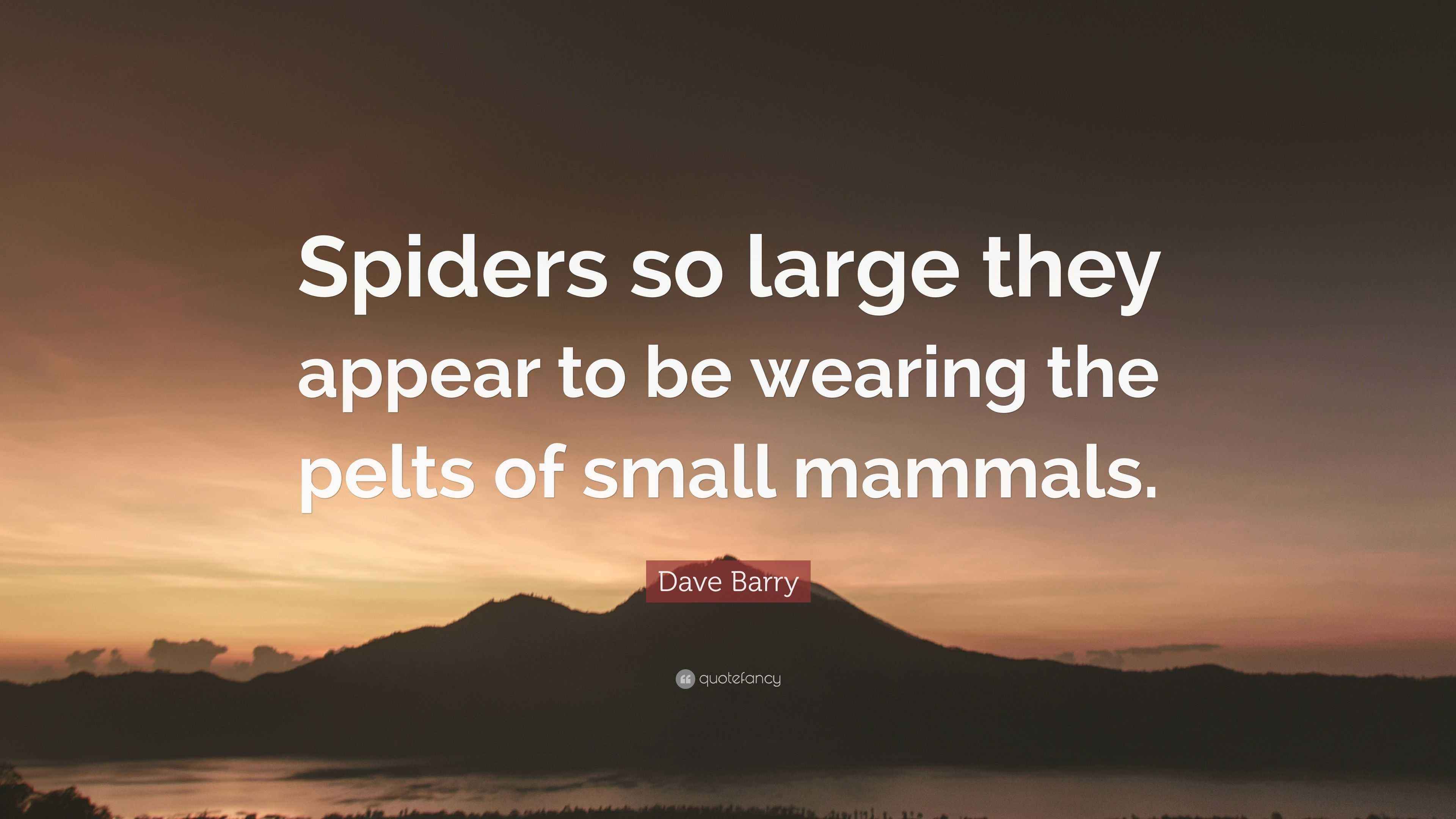 Dave Barry Quote: “Spiders so large they appear to be wearing the pelts ...