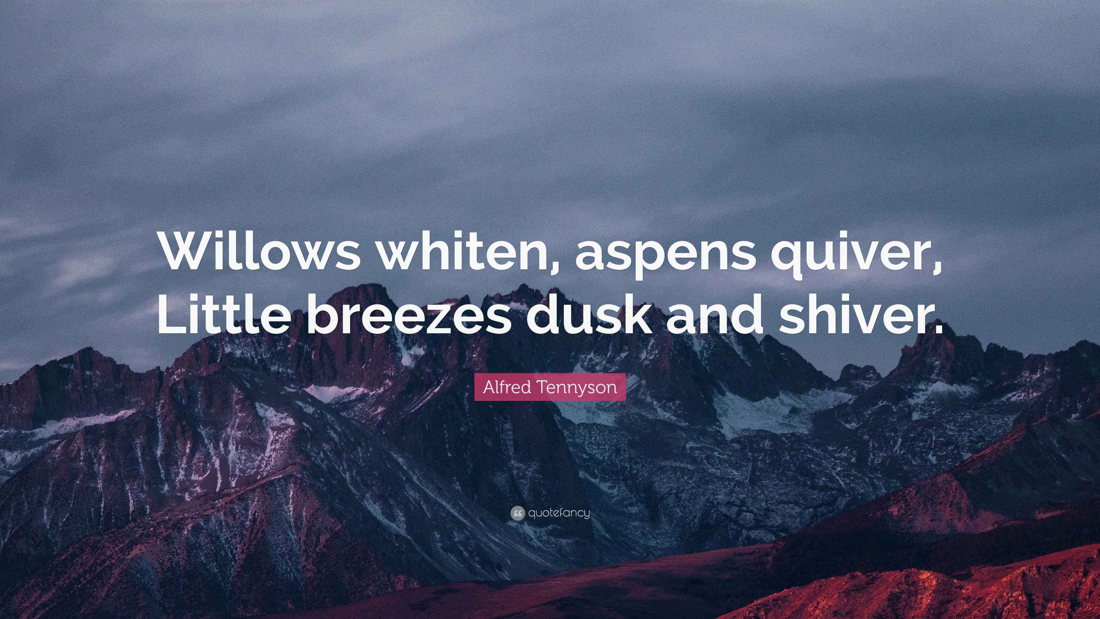 Alfred Tennyson Quote: “Willows whiten, aspens quiver, Little breezes ...