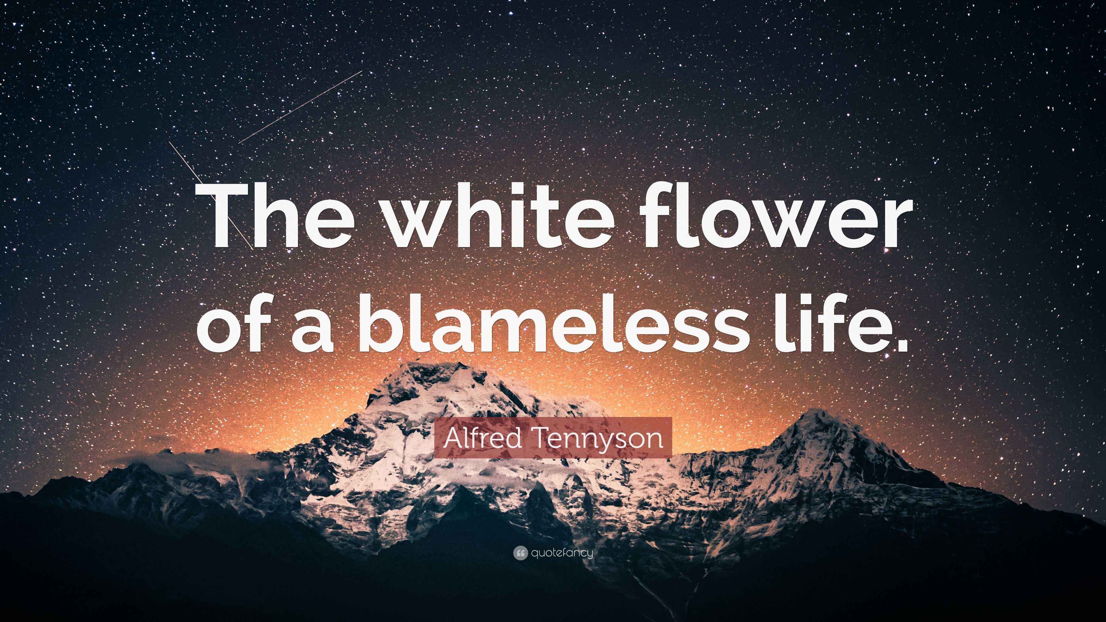 Alfred Tennyson Quote: “The white flower of a blameless life.”