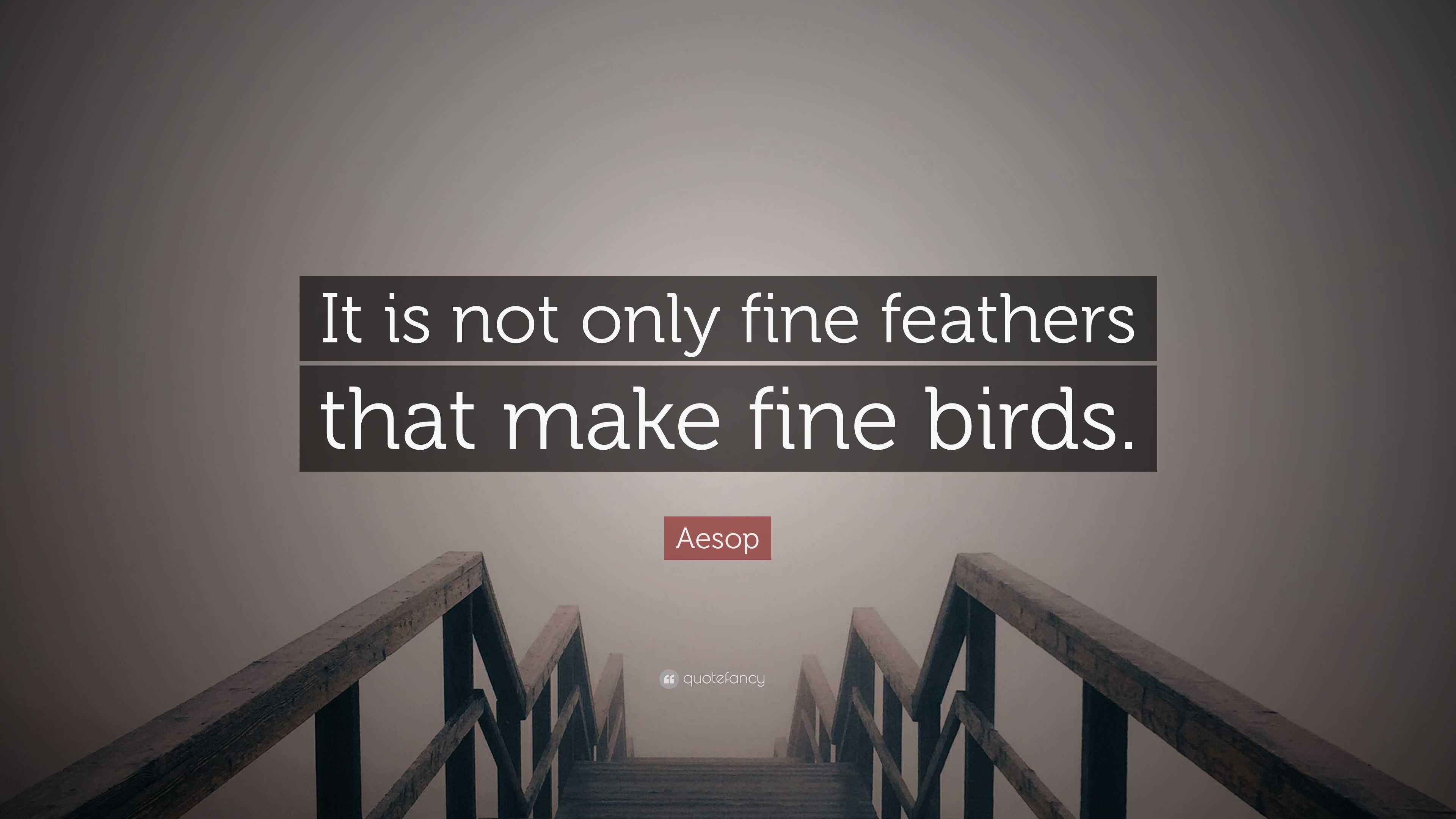 Aesop Quote: “It is not only fine feathers that make fine birds.”