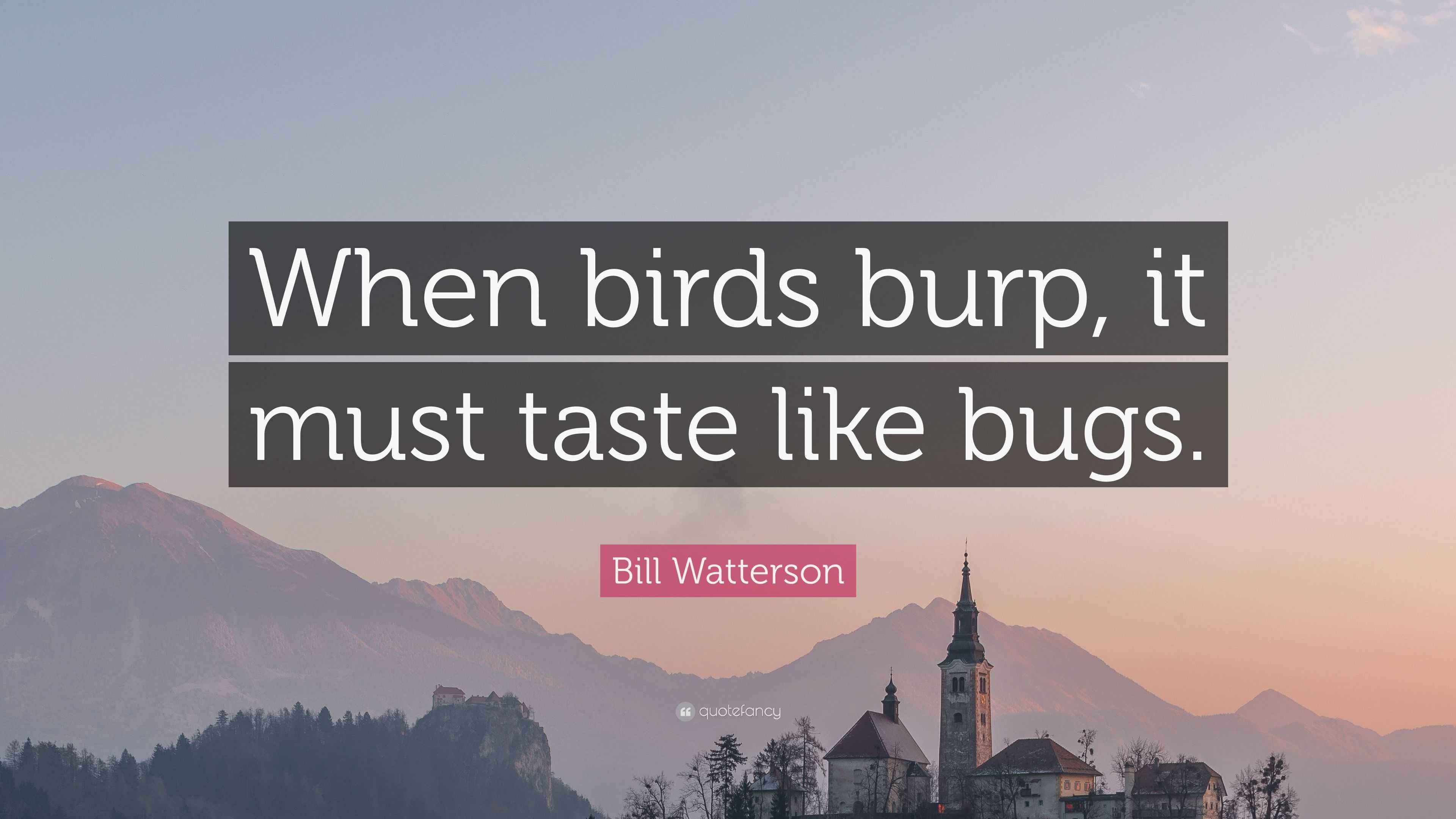 Bill Watterson Quote: “When birds burp, it must taste like bugs.”