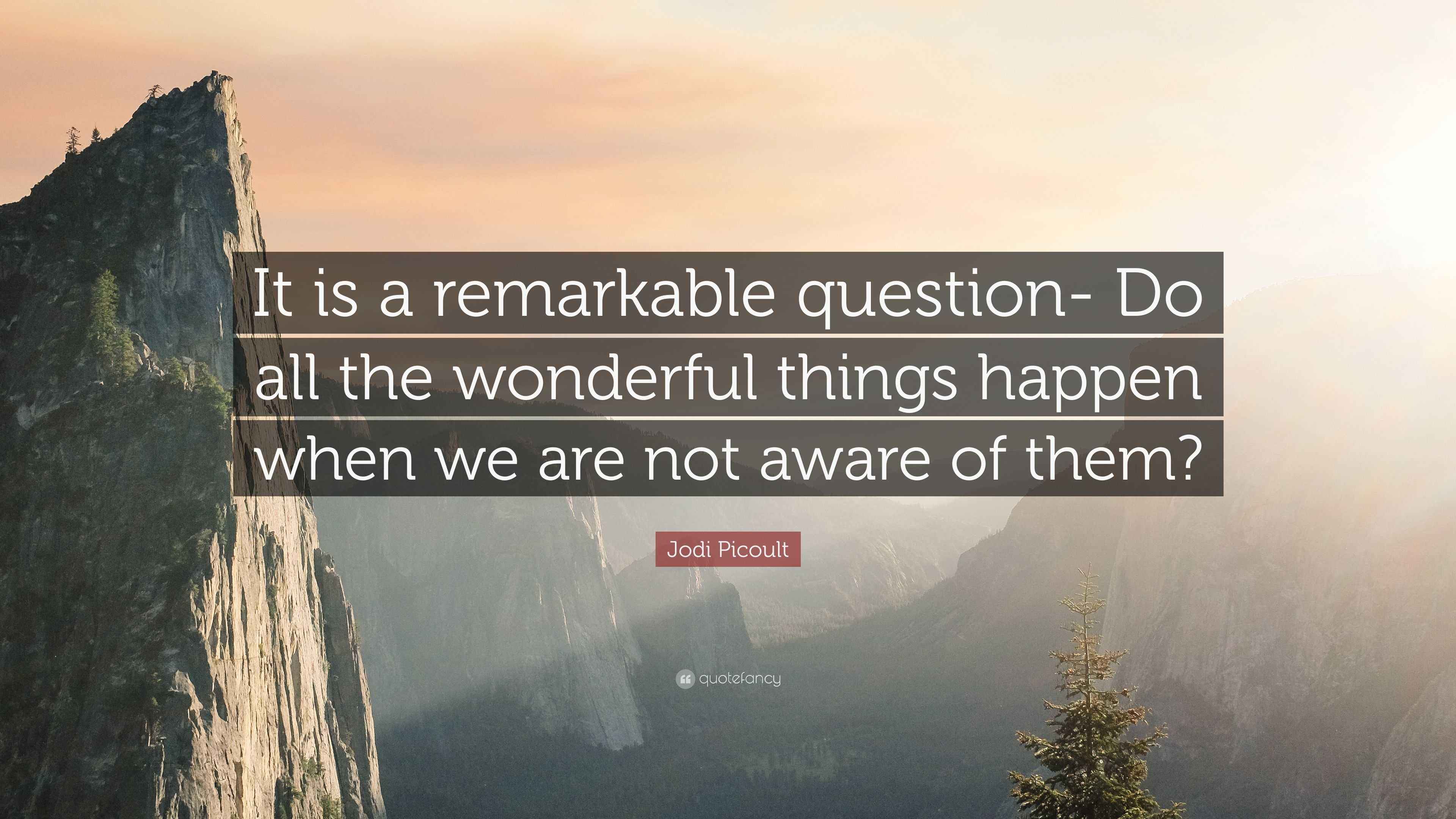 Jodi Picoult Quote: “It is a remarkable question- Do all the wonderful ...