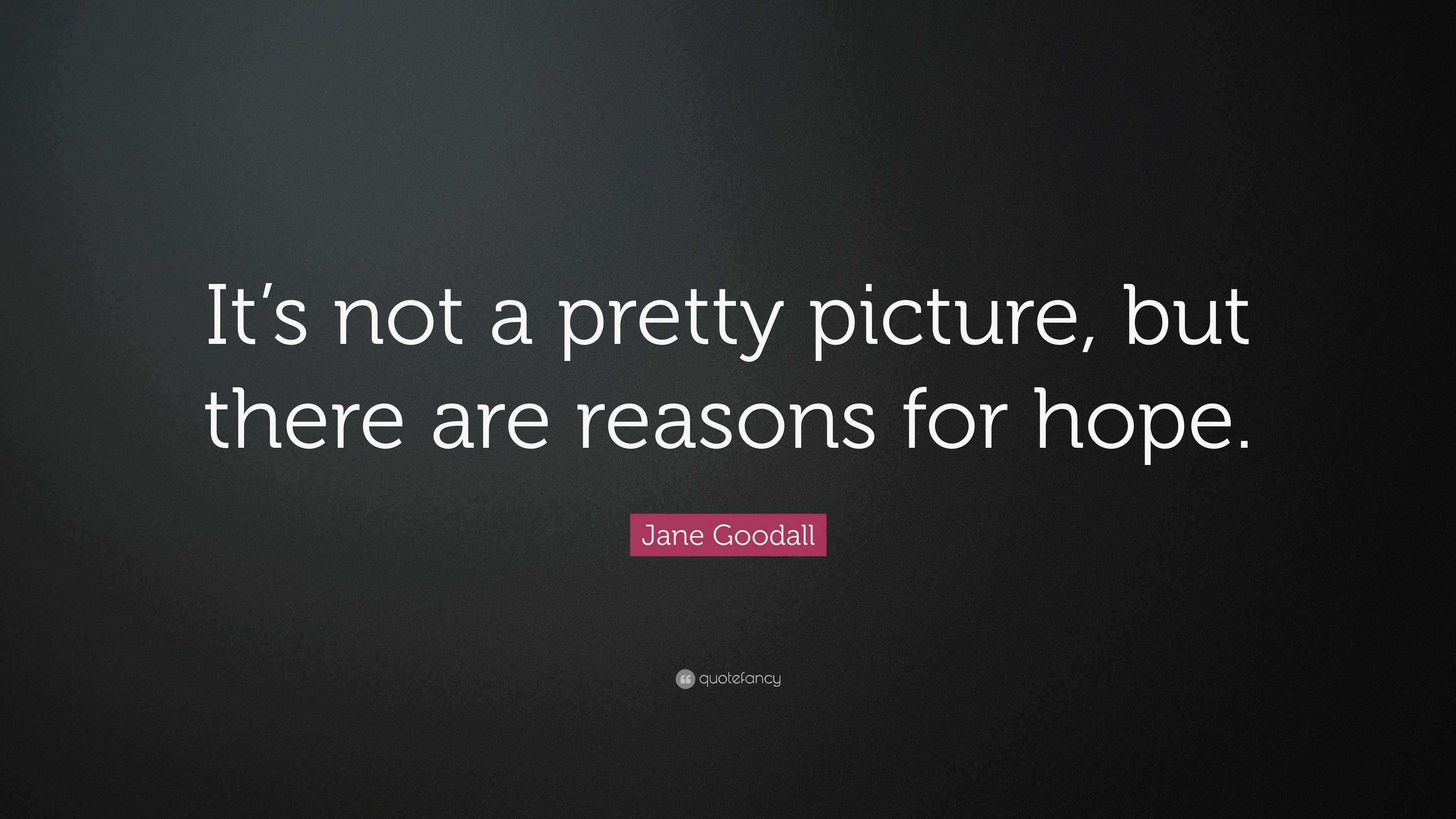 Jane Goodall Quote: “It’s not a pretty picture, but there are reasons ...