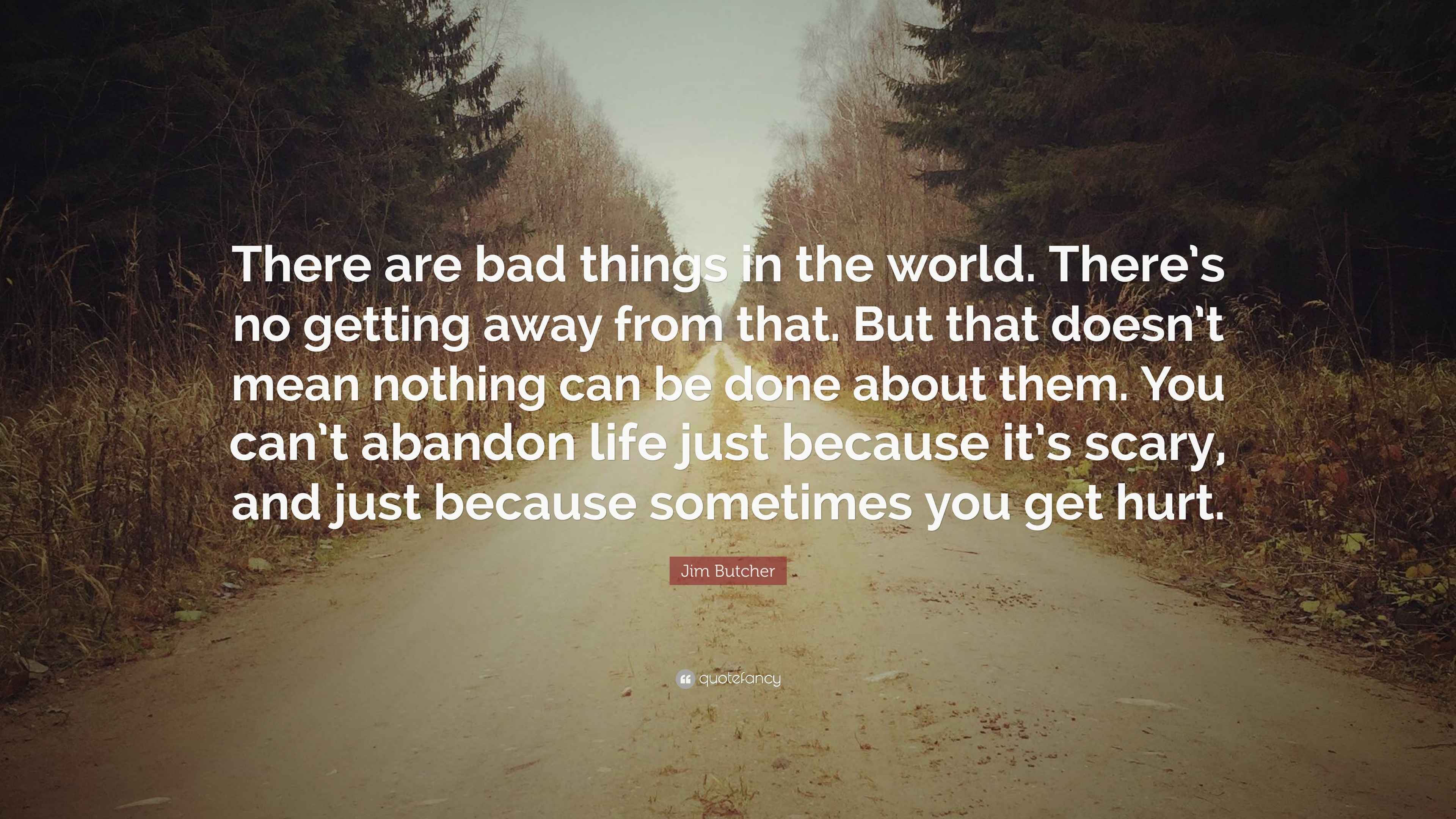 Jim Butcher Quote: “There are bad things in the world. There’s no ...