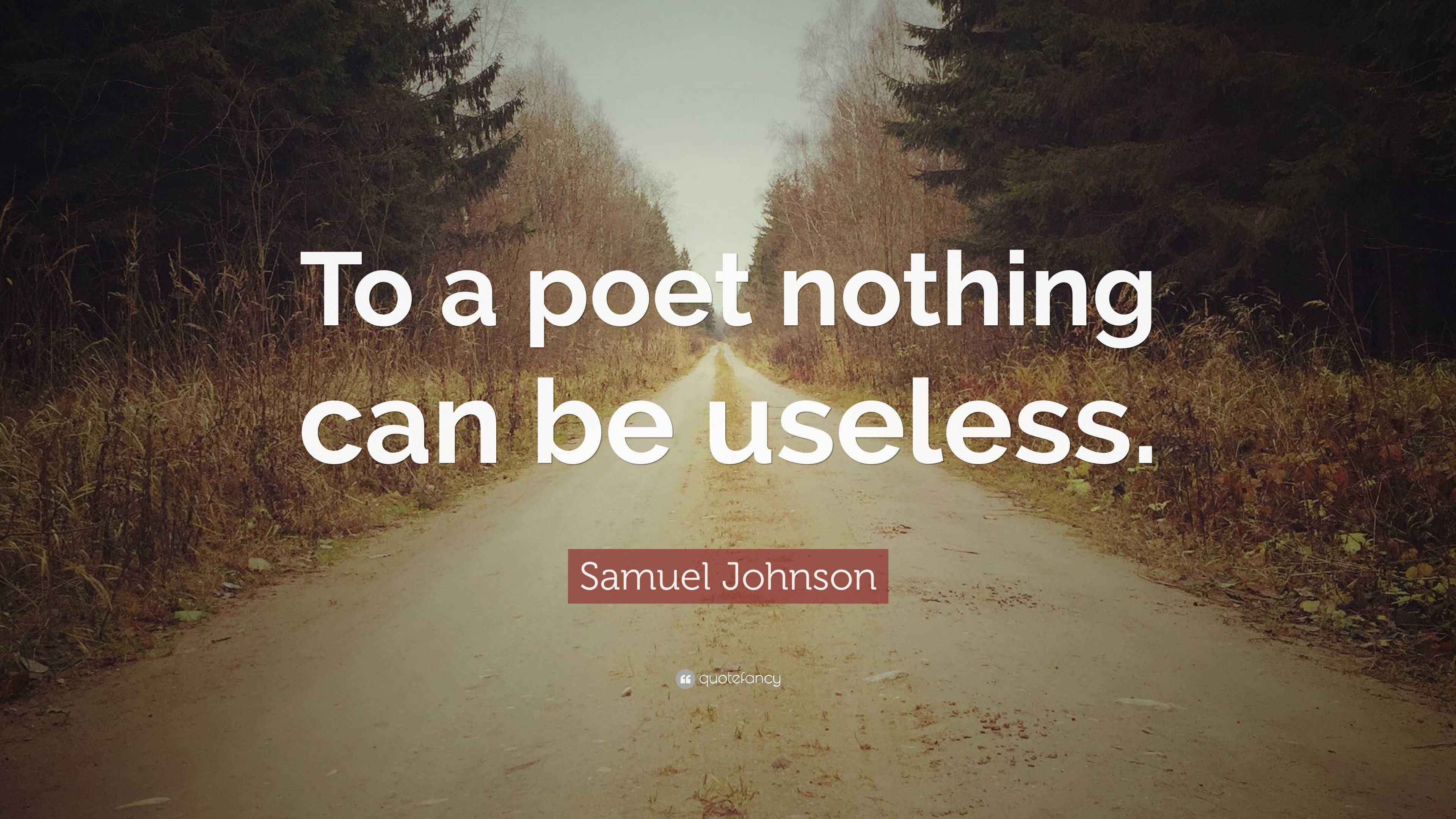 Samuel Johnson Quote: “To a poet nothing can be useless.”