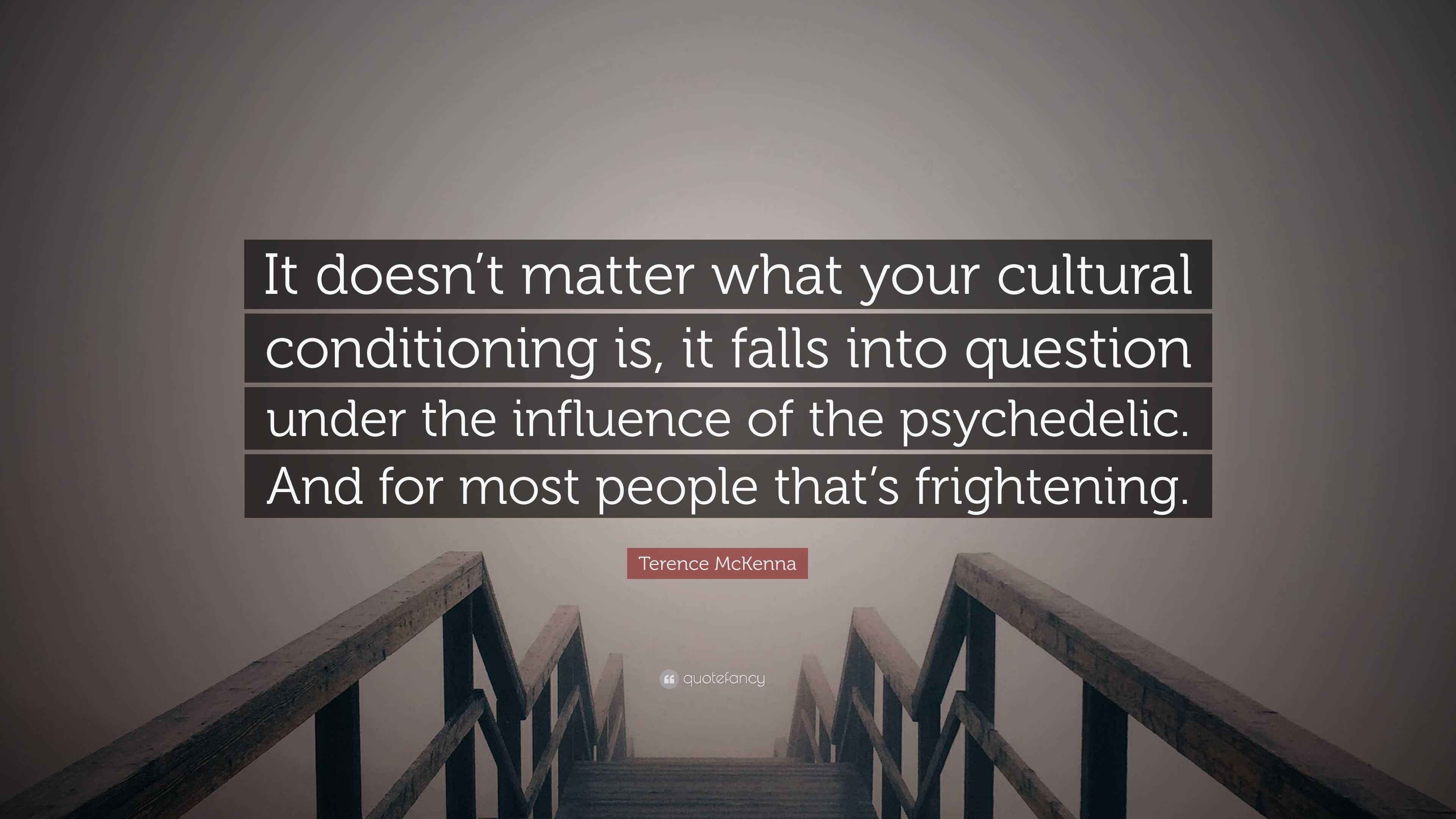 Terence McKenna Quote: “It doesn’t matter what your cultural ...