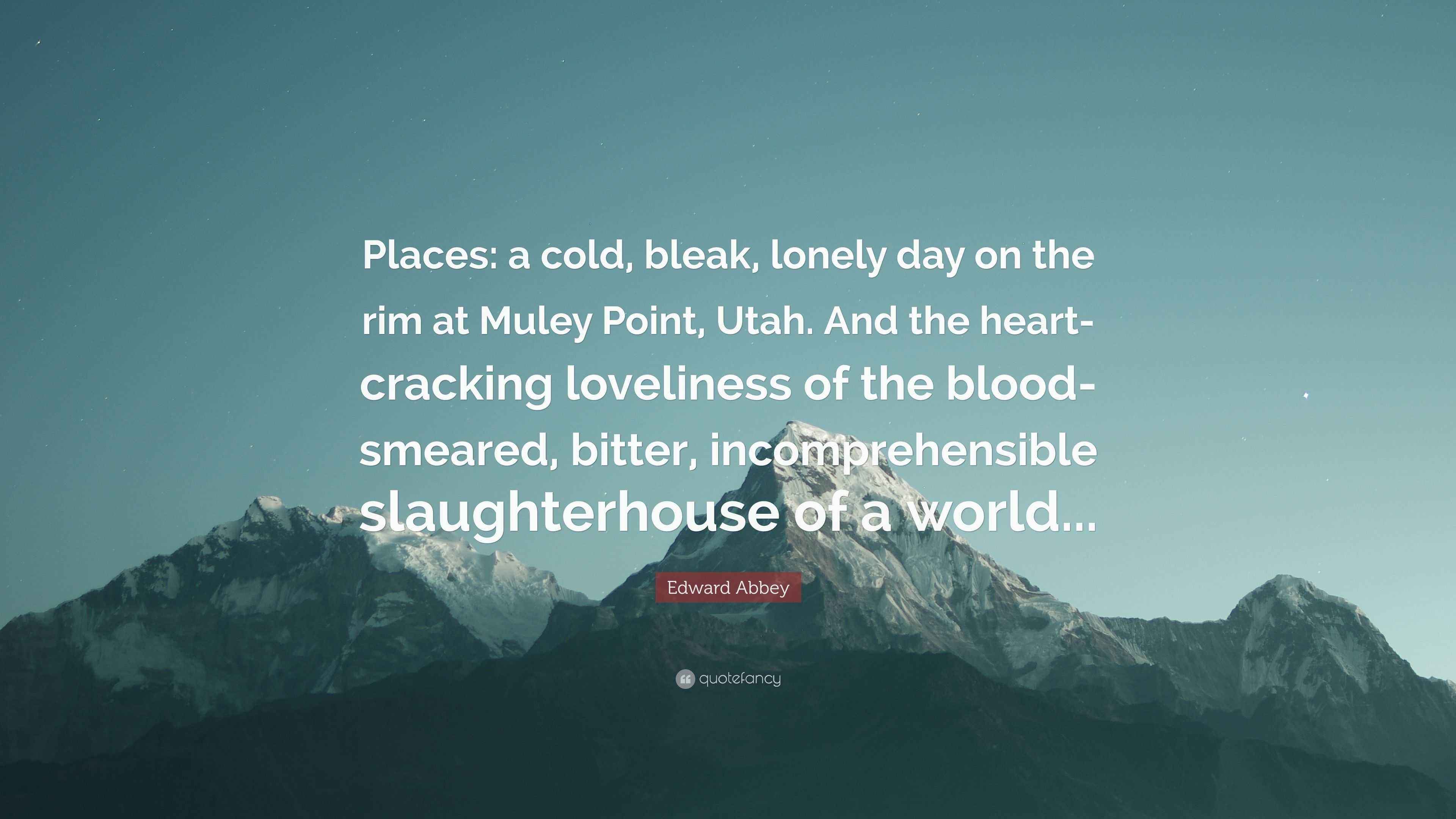 Edward Abbey Quote: “Places: a cold, bleak, lonely day on the rim at ...