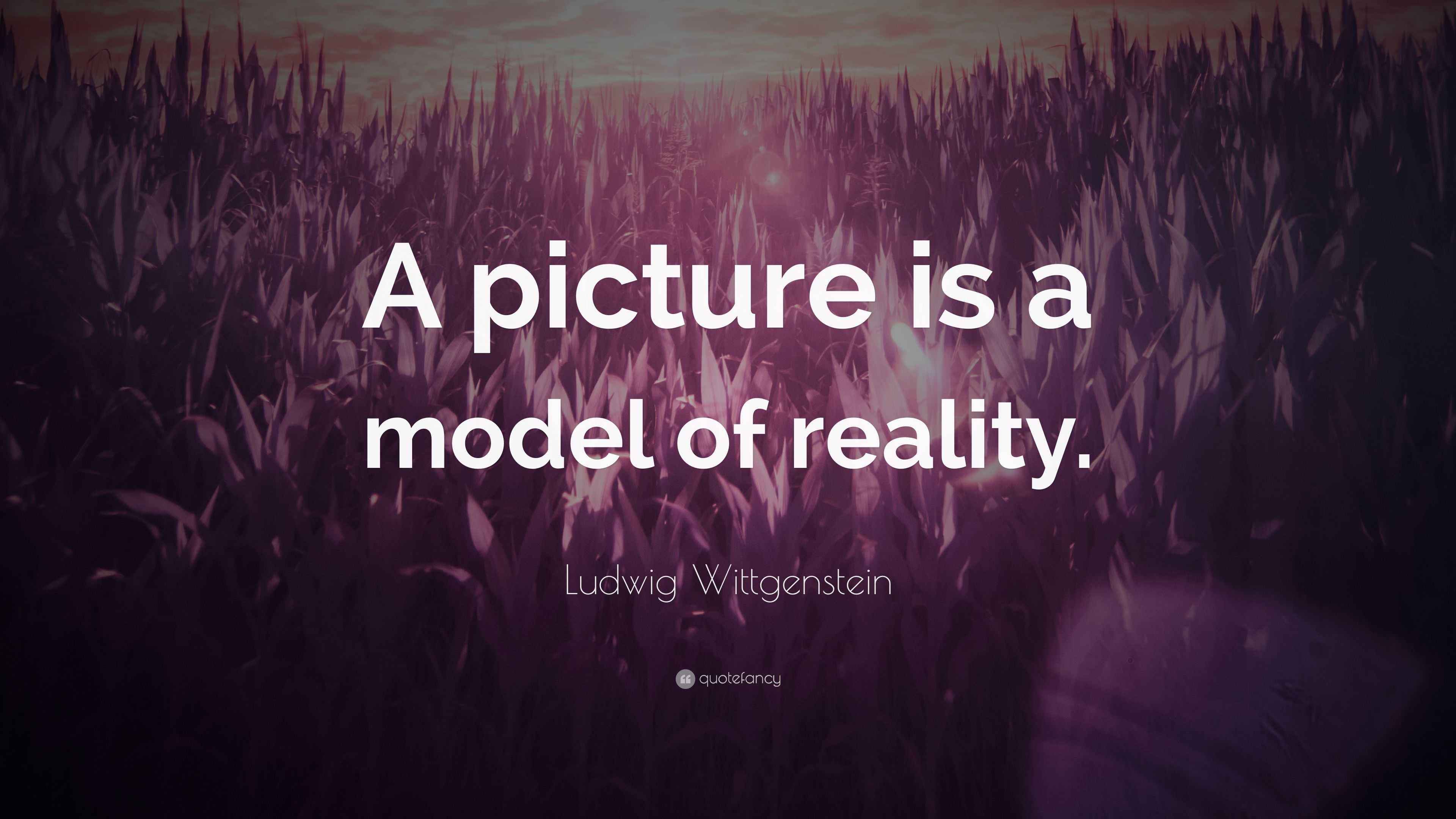 Ludwig Wittgenstein Quote: “A picture is a model of reality.”