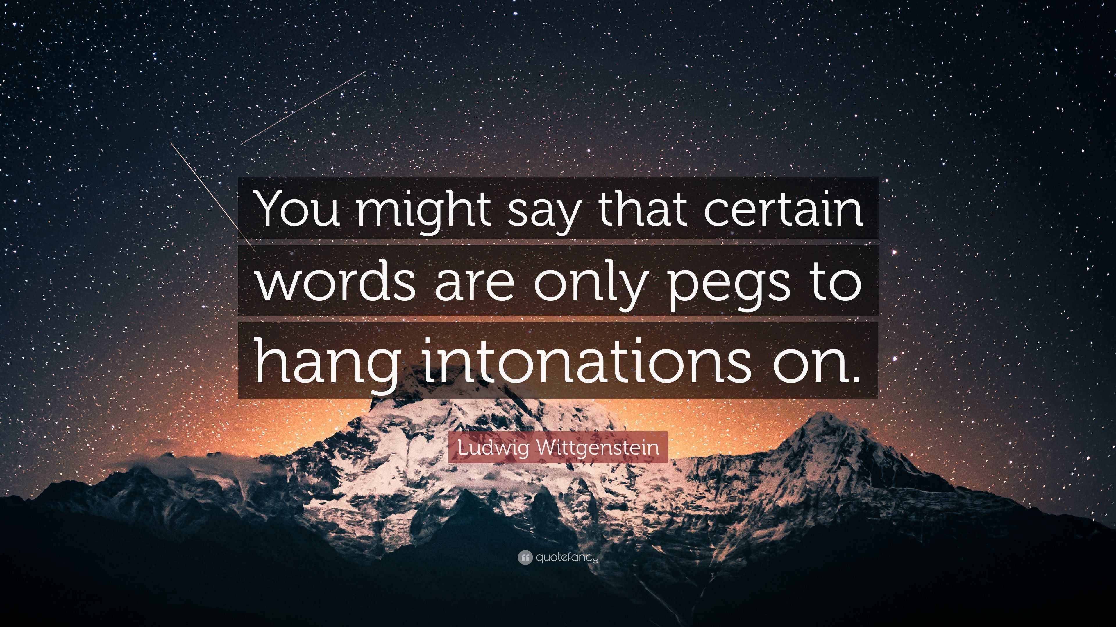 Ludwig Wittgenstein Quote: “You might say that certain words are only ...