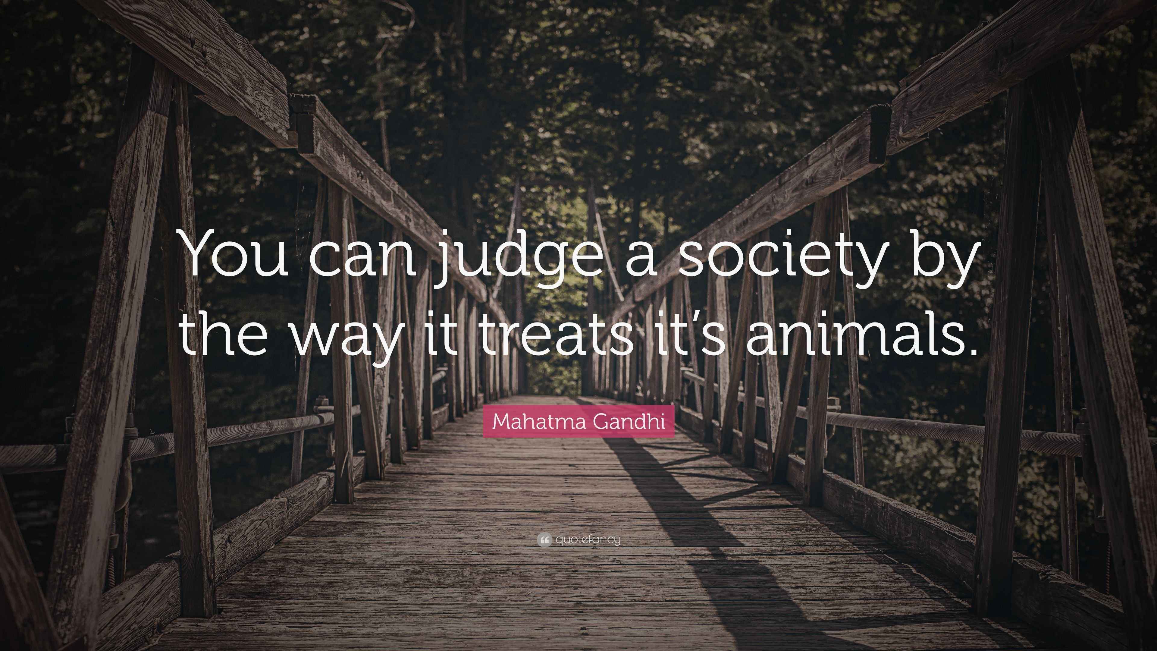 Mahatma Gandhi Quote: “You can judge a society by the way it treats it ...