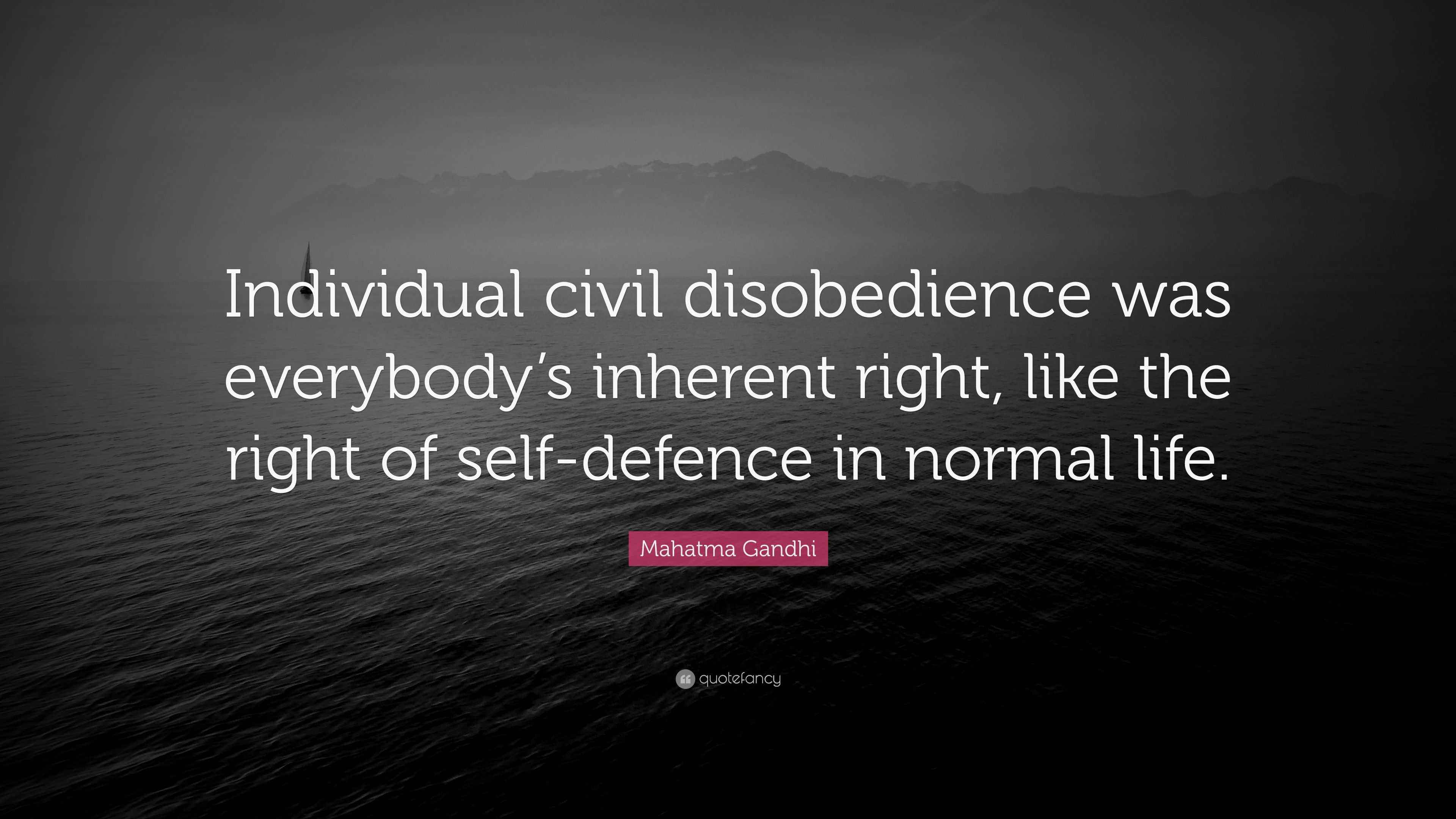 Mahatma Gandhi Quote: “Individual civil disobedience was everybody’s ...