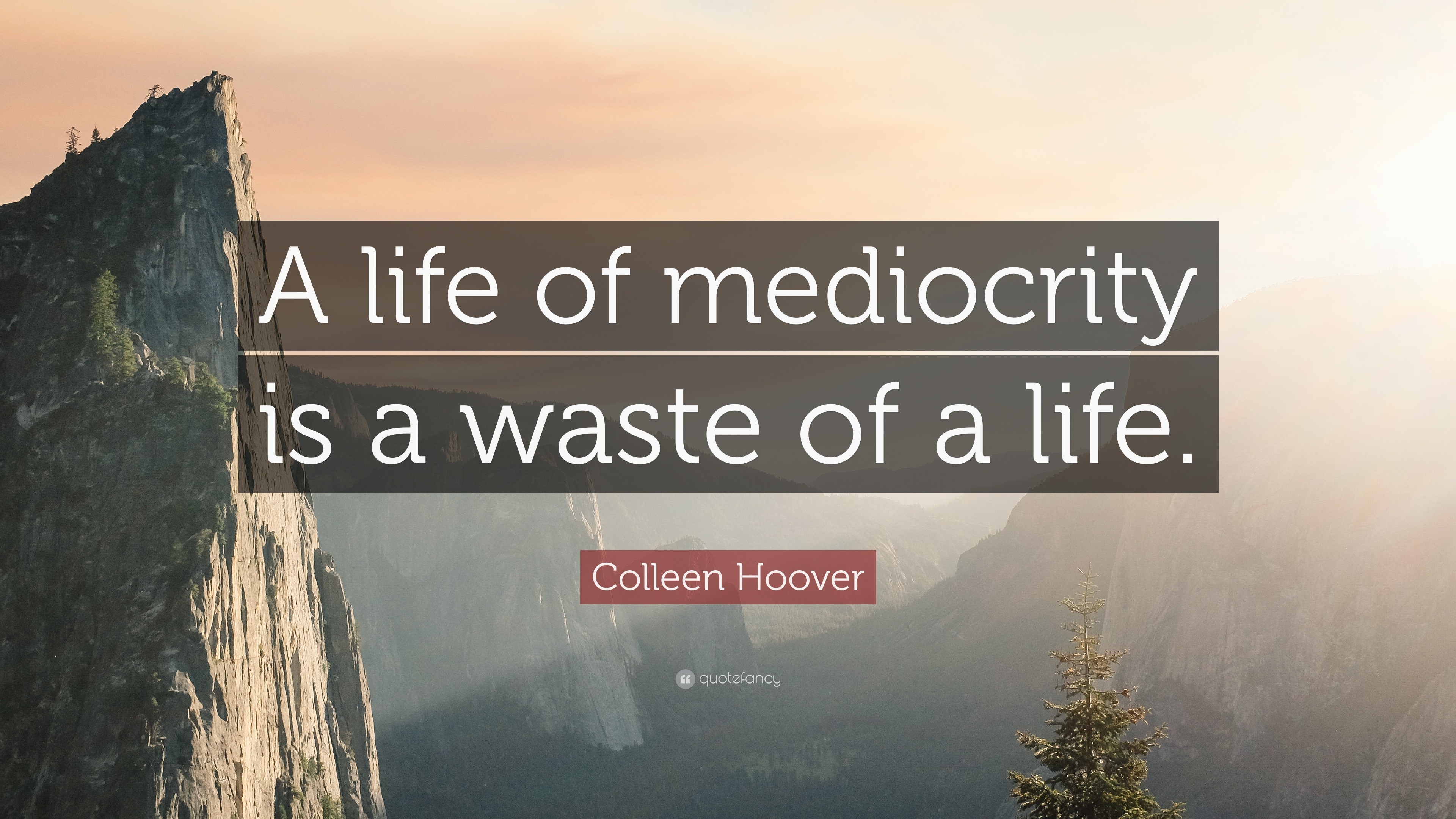 Colleen Hoover Quote: “A life of mediocrity is a waste of a life.”