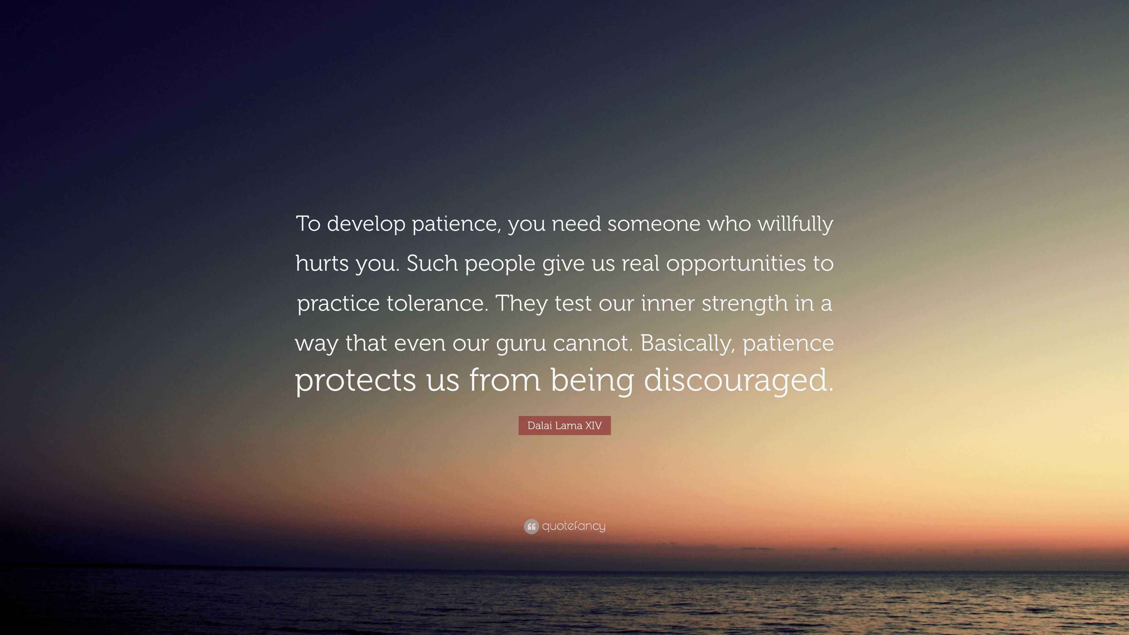 Dalai Lama XIV Quote: “To develop patience, you need someone who ...