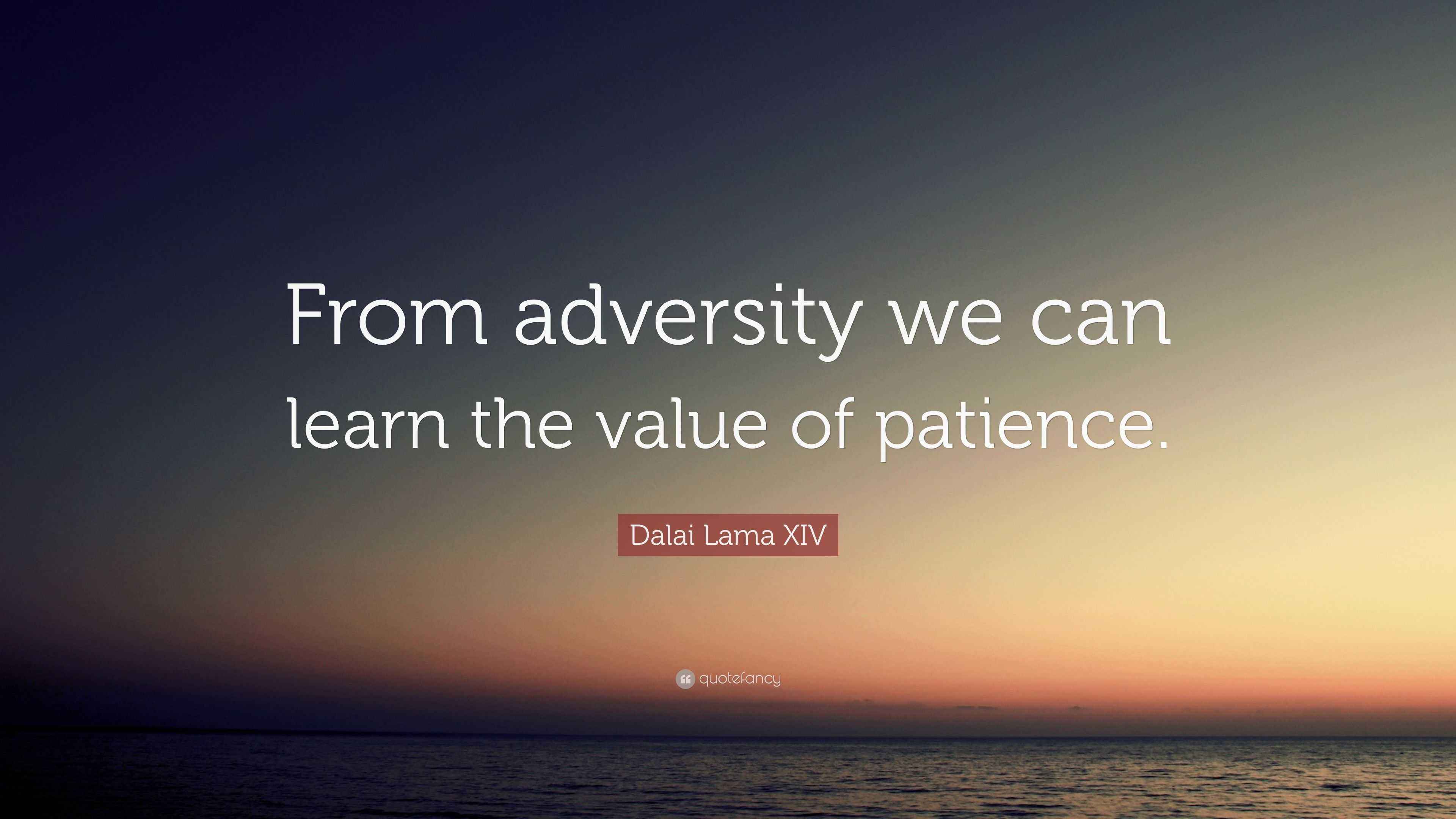 Dalai Lama XIV Quote: “From adversity we can learn the value of patience.”