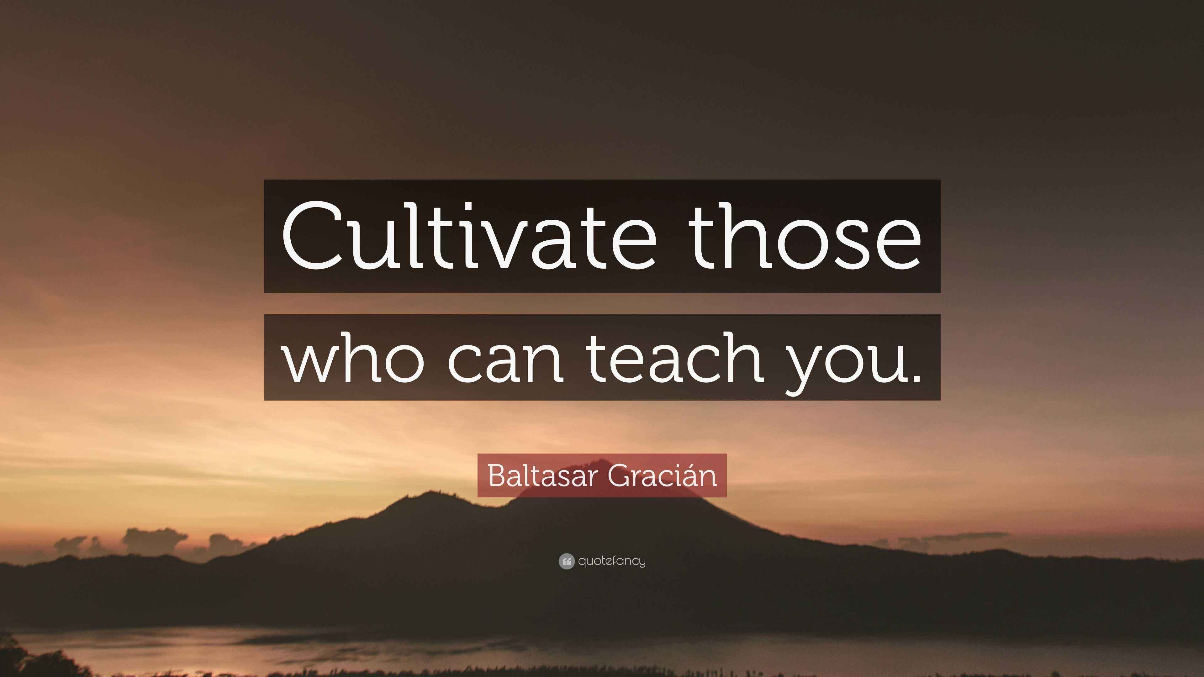 Baltasar Gracián Quote: “Cultivate those who can teach you.”
